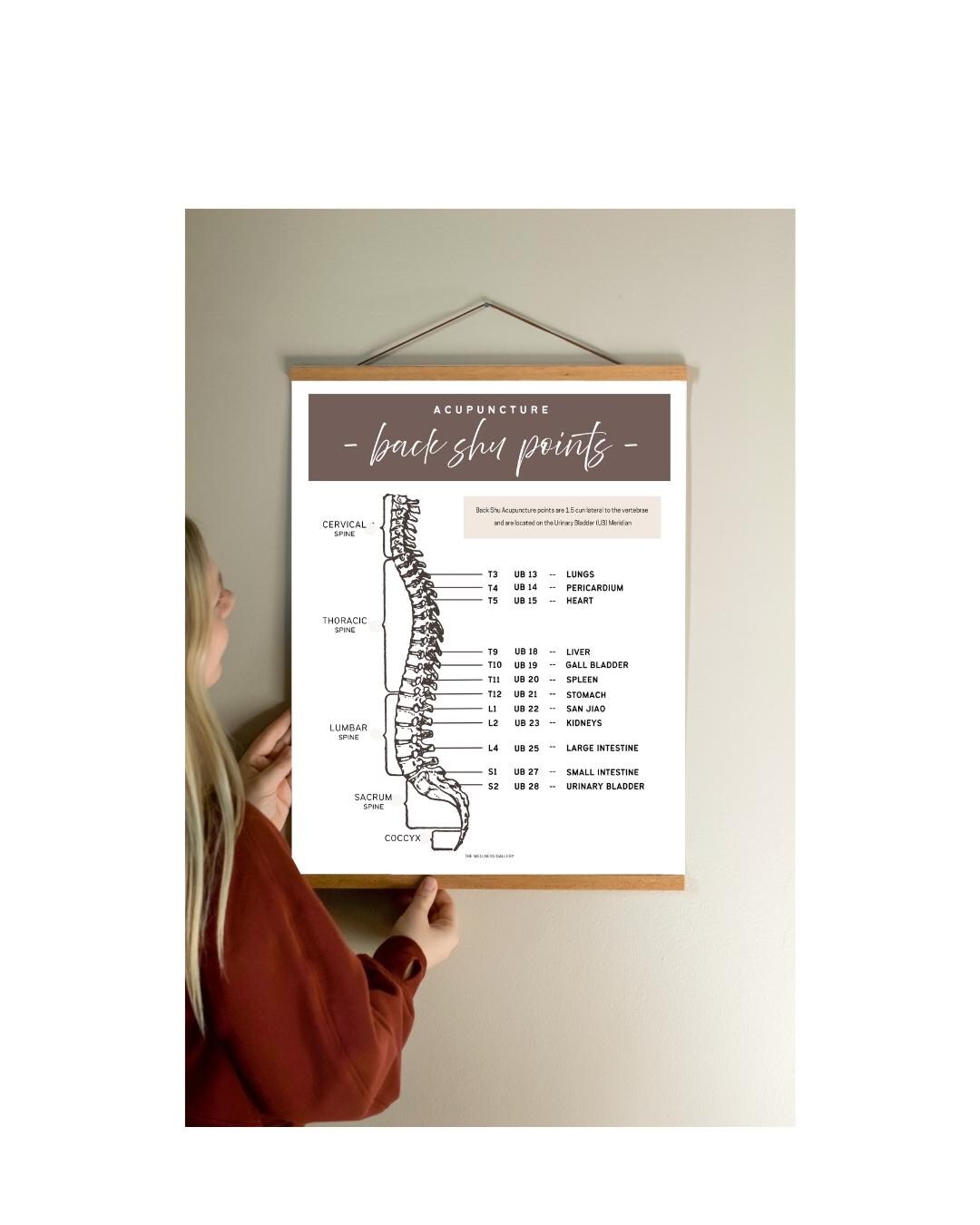 Back Shu - Acupuncture Poster - Etsy