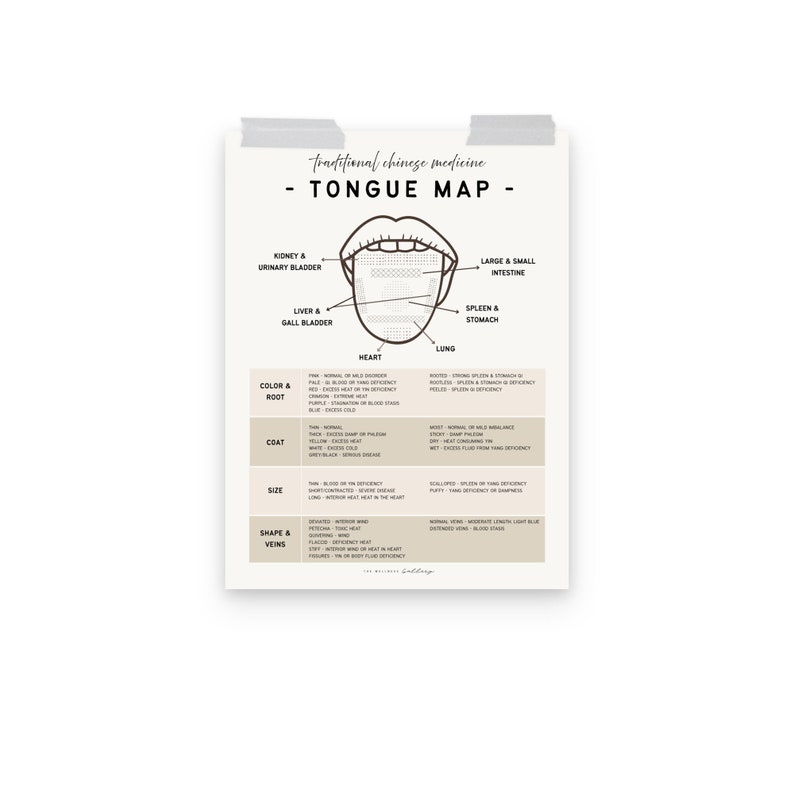 TCM Tongue Map Poster, Acupuncture Poster (off White Background) - Etsy