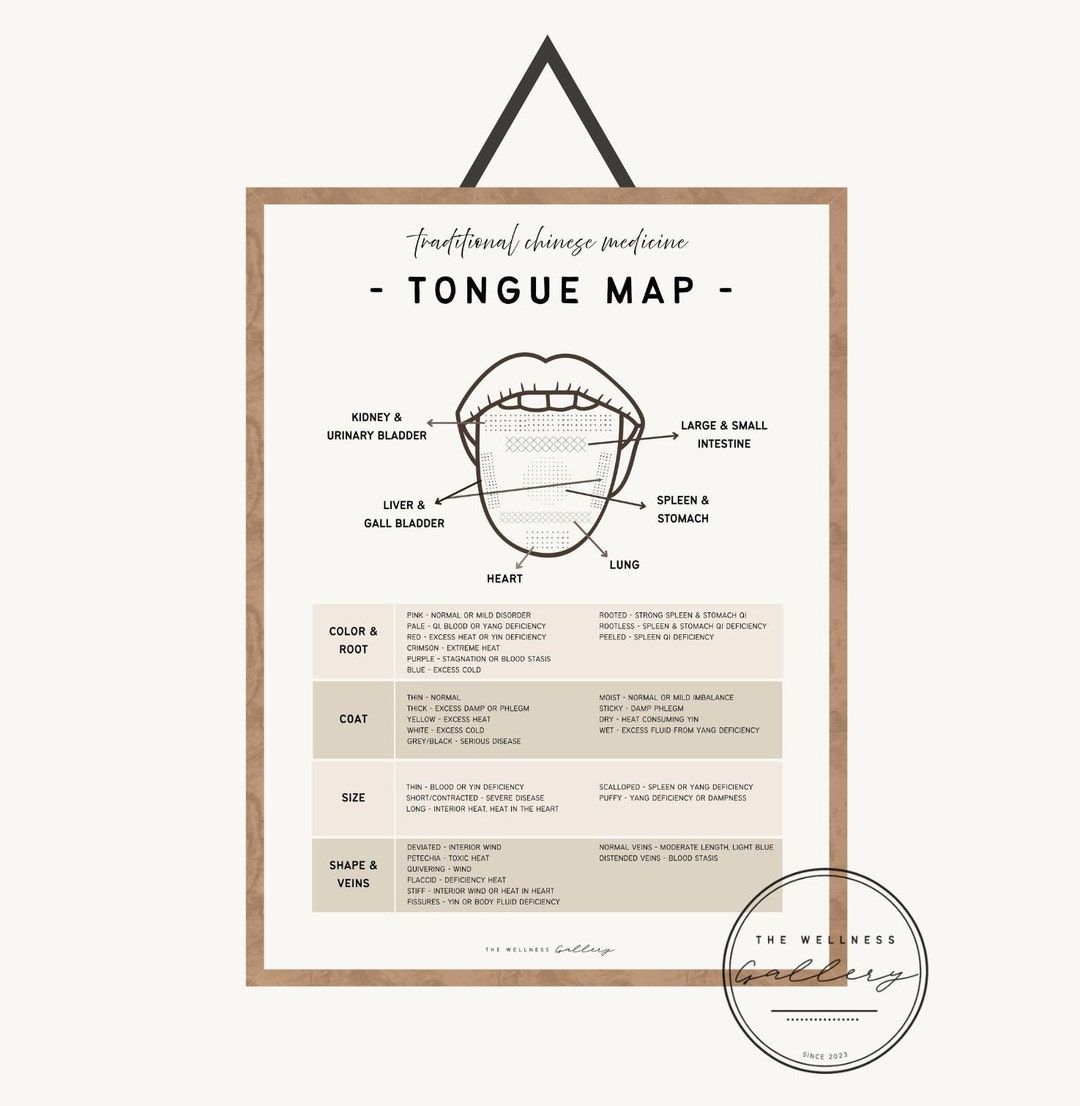 TCM Tongue Poster (24"x36") - off White Background - Etsy
