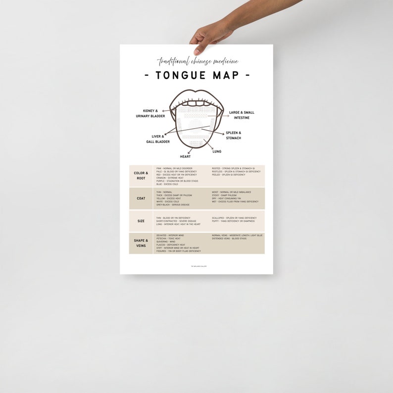 TCM Tongue Poster (white Background), Acupuncture Poster - Etsy