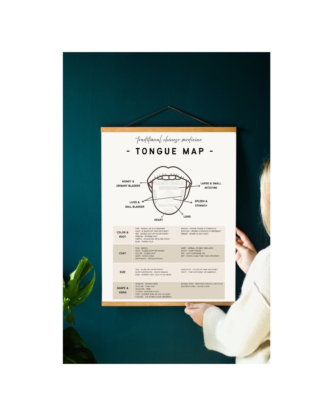 TCM Tongue Poster (white Background), Acupuncture Poster - Etsy