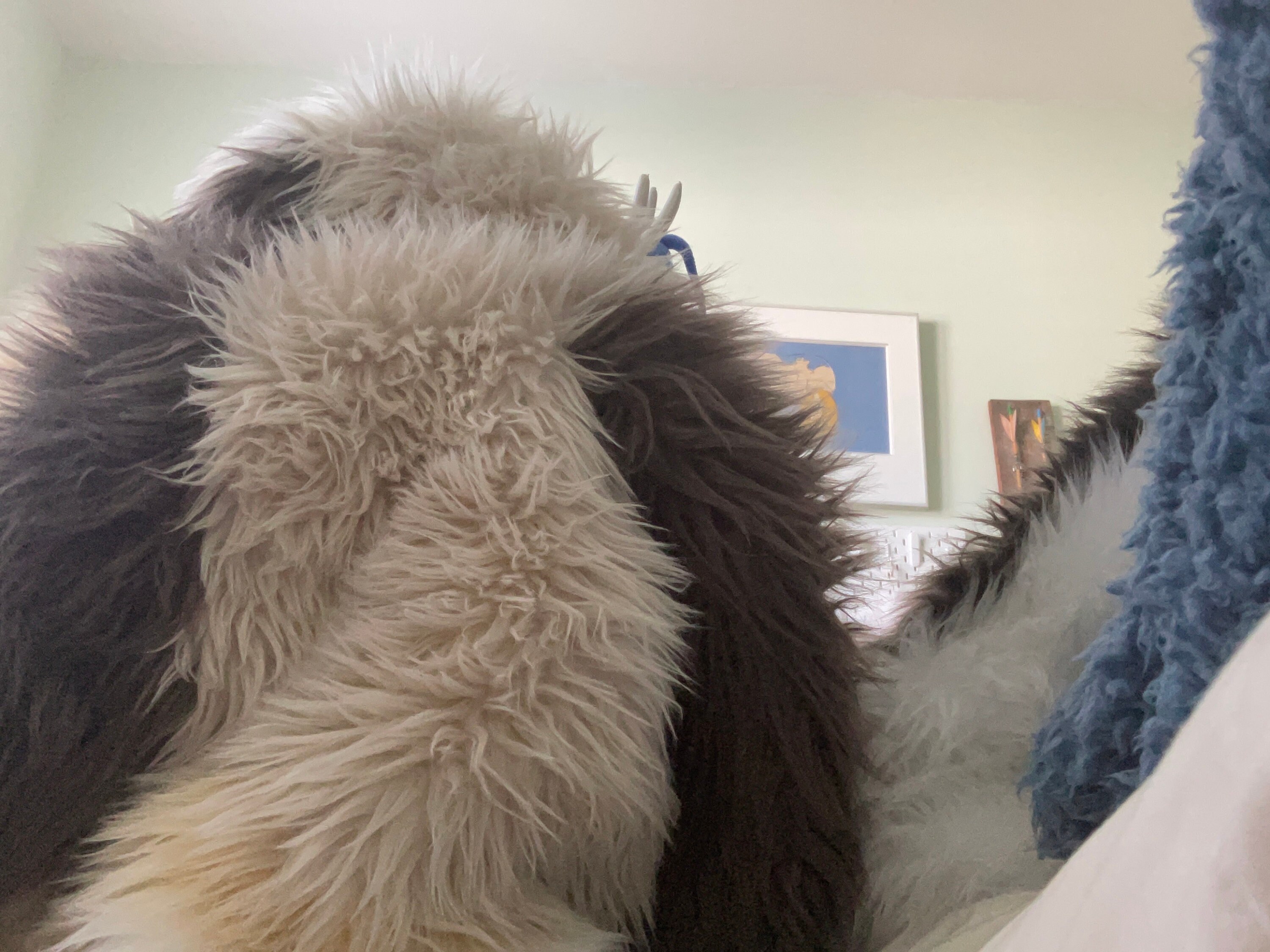 HQ Fursuit for Sail - Etsy