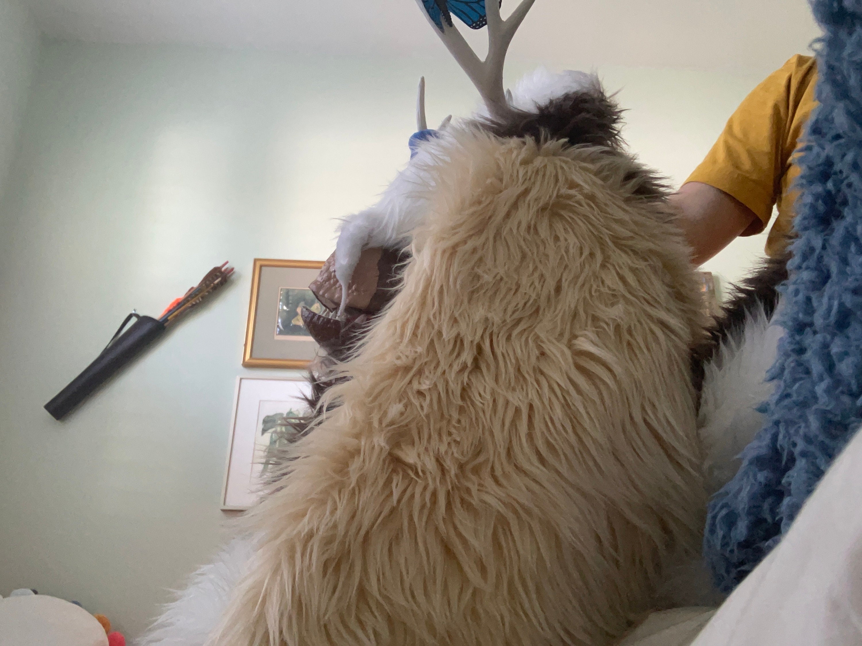 HQ Fursuit for Sail - Etsy