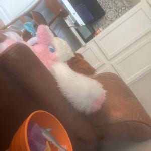 HQ Fursuit for Sail - Etsy