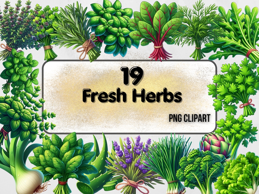 Watercolor Cooking Herbs Clipart: 19 PNG Stickers (digital Download) - Etsy