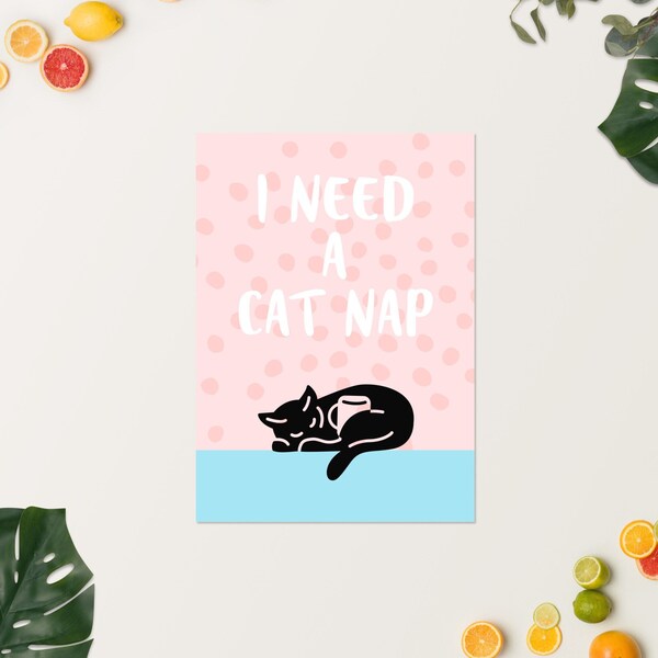 Cat Nap Poster - Etsy