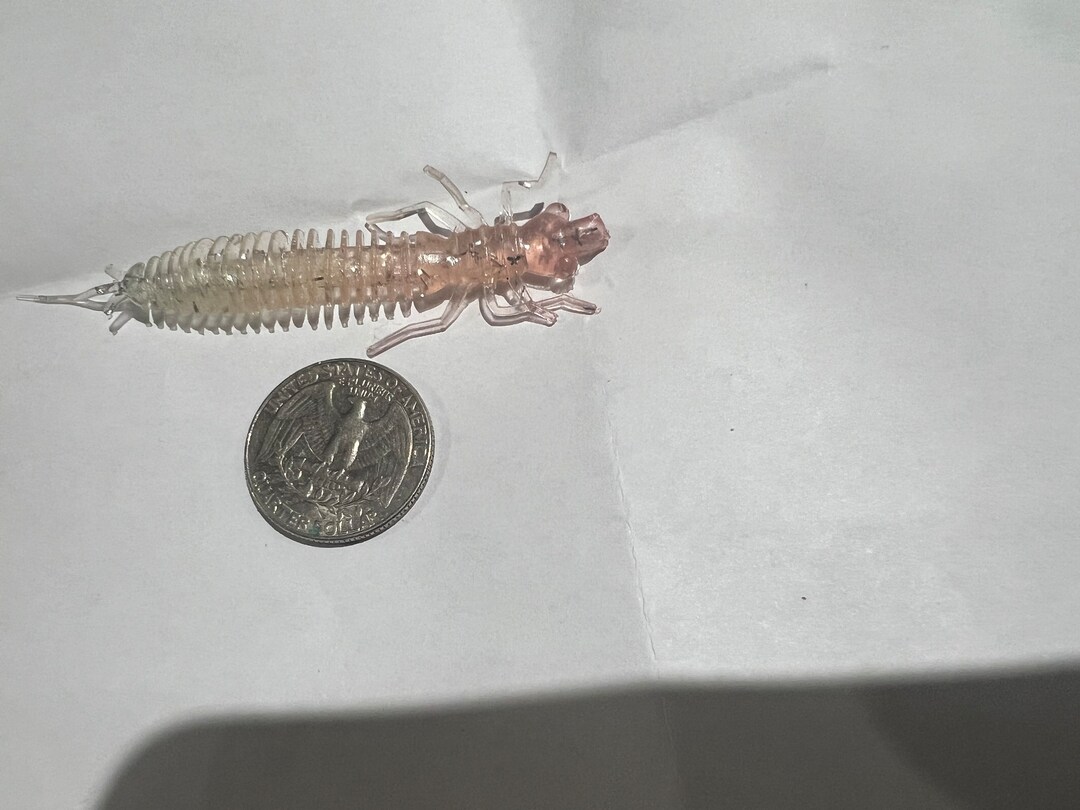 Clearish-red 3 Inch Big Hellgrammite Rubber Fishing Lure - Etsy