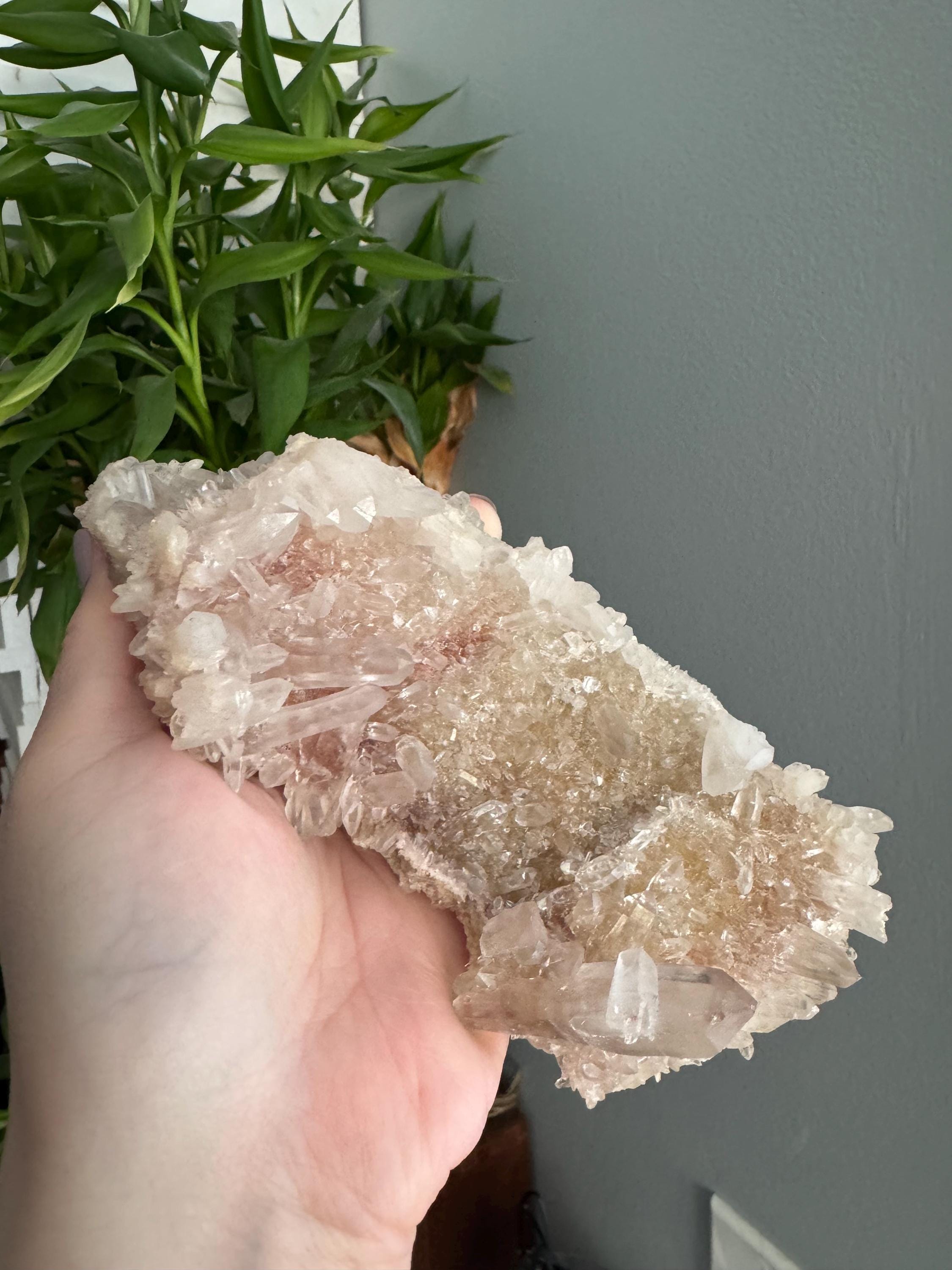 Large Samadhi Pink Himalayan Quartz Cluster - Etsy