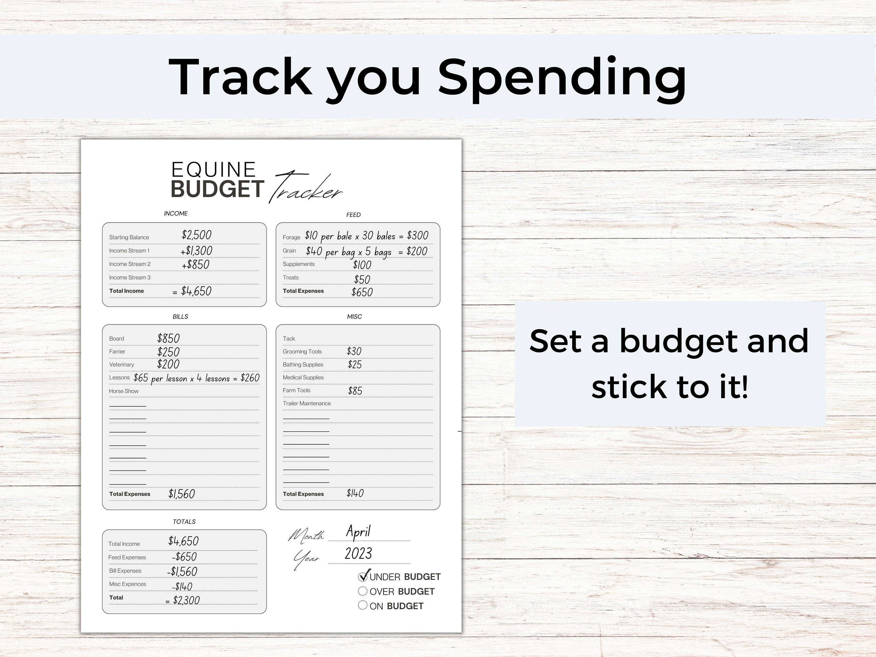 Equine Budget Tracker, Monthly Planner Budget, Horse Management, Barn ...