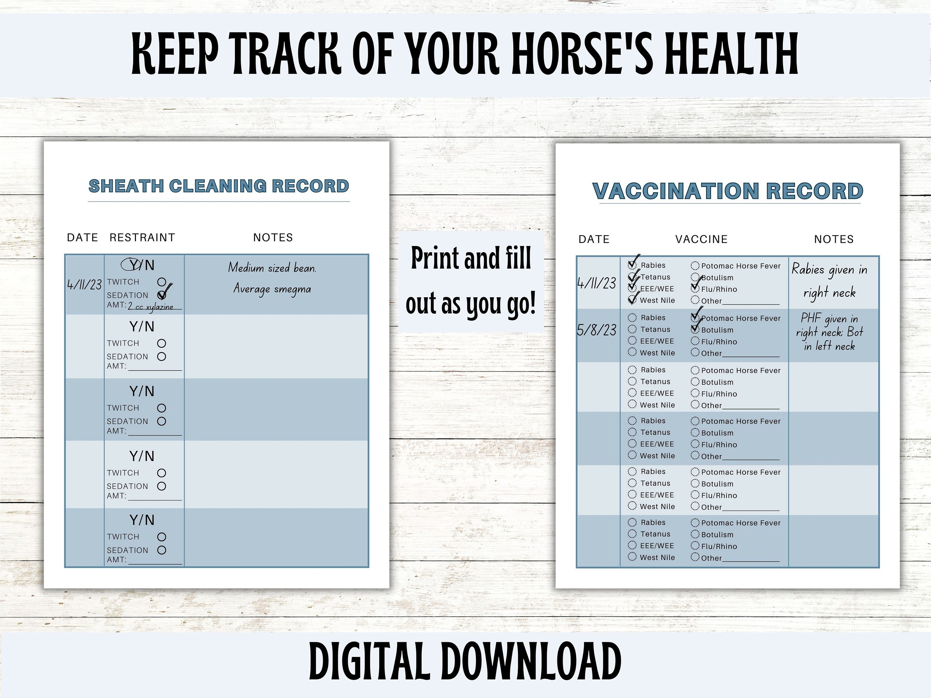 Horse Owner's Record Keeping, Horse Record, Horse Health Record ...