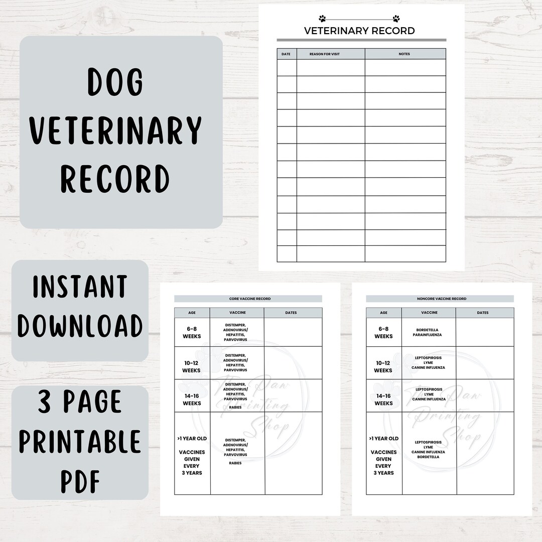 Dog Veterinary Record, Veterinary Health Record, Printable Pet Medical ...