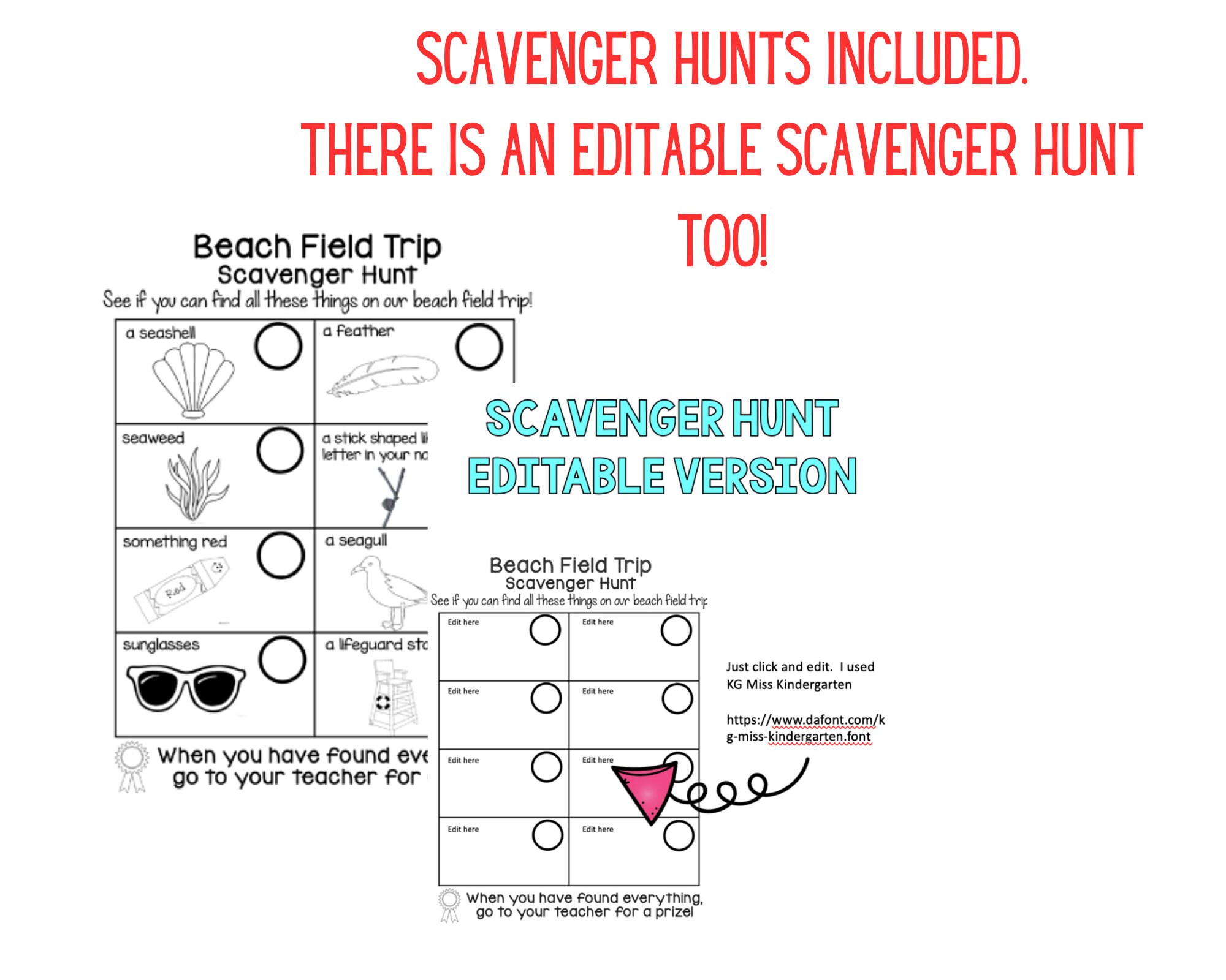 Beach Field Trip- Printables - Reflection Sheets, Worksheets, Books ...