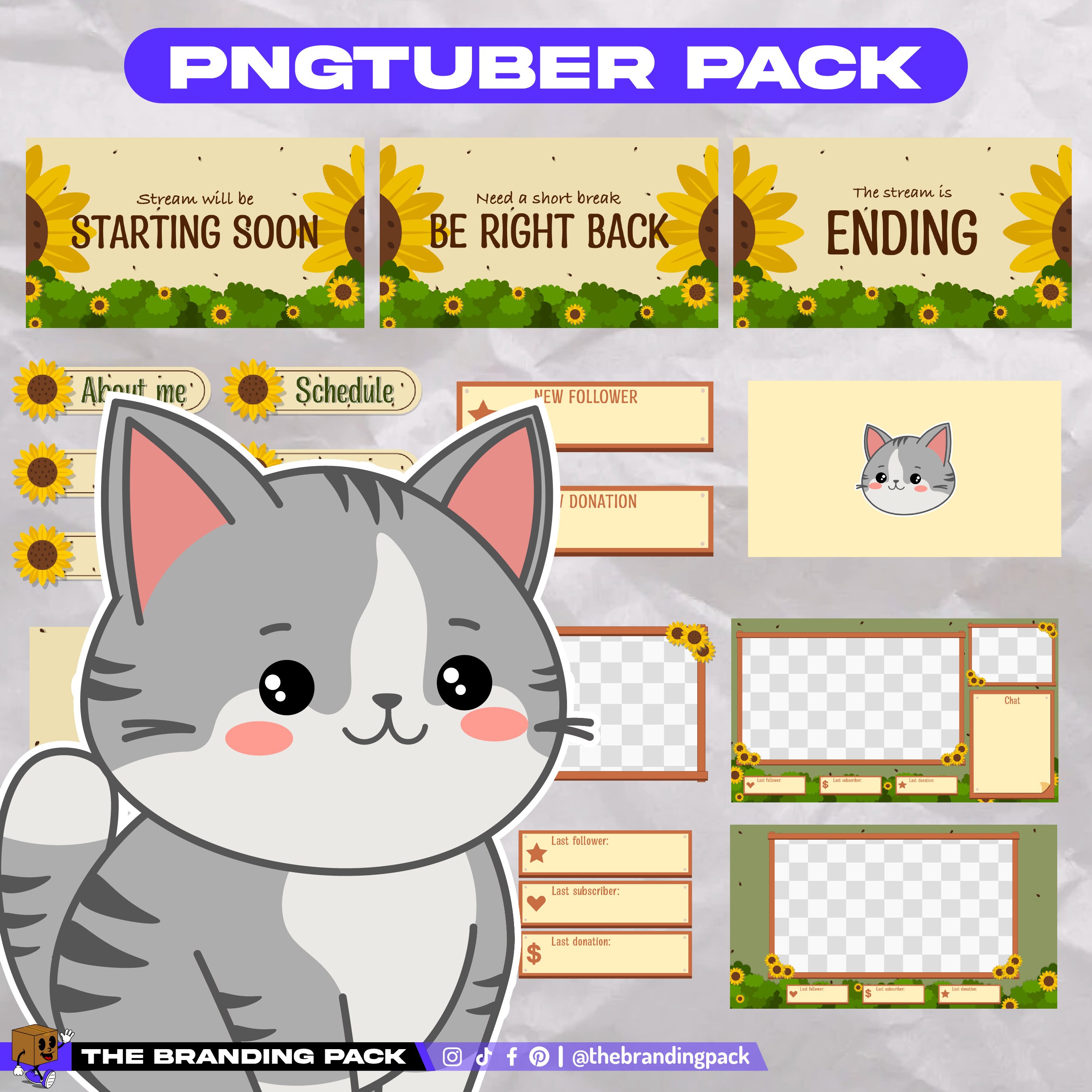 Stream Overlays Pngtuber Pack Grey Cat Pngtuber Camera Overlays Twitch ...