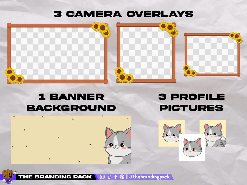 Stream Overlays Pngtuber Pack Grey Cat Pngtuber Camera Overlays Twitch ...