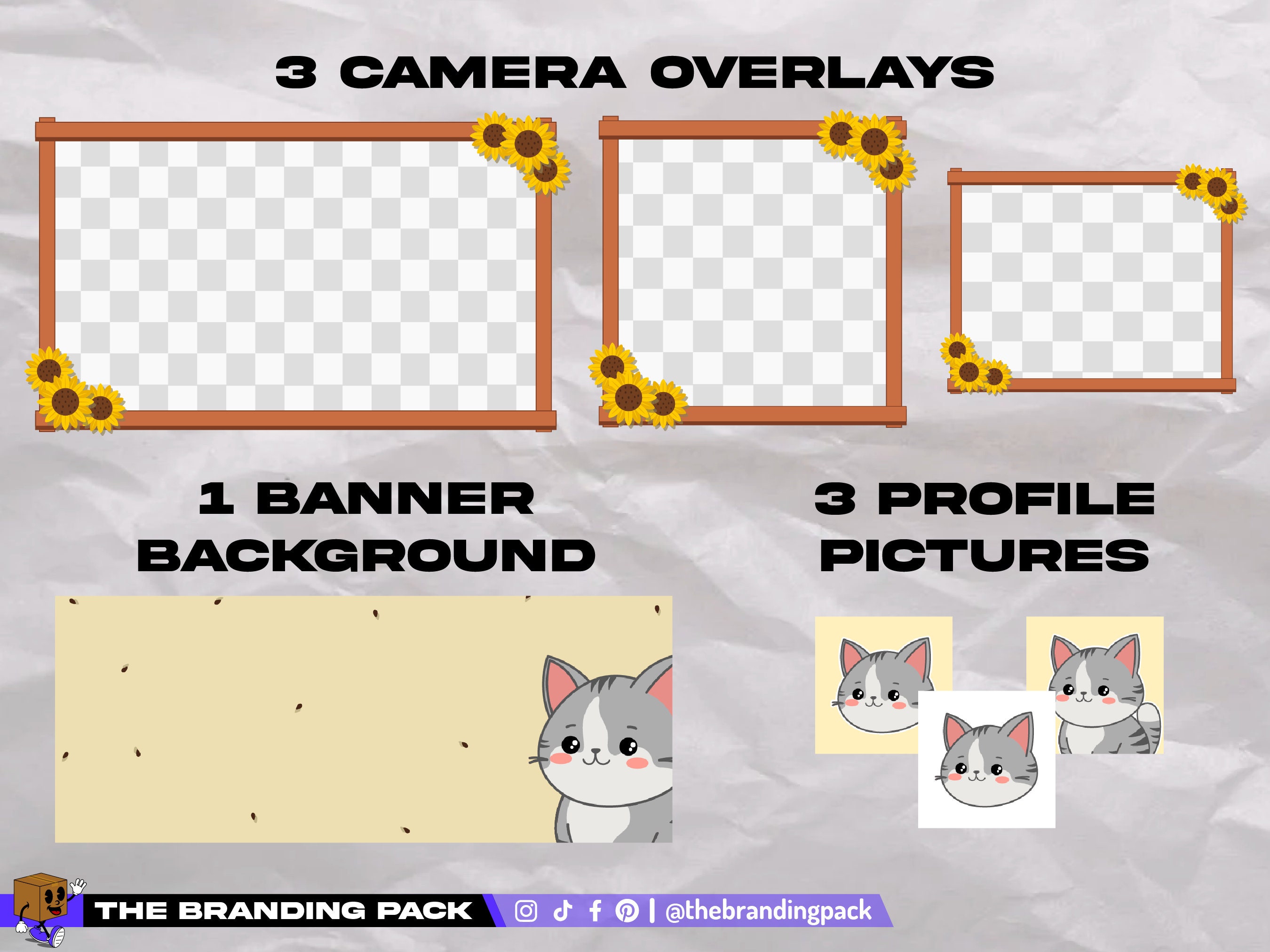 Stream Overlays Pngtuber Pack Grey Cat Pngtuber Camera Overlays Twitch ...