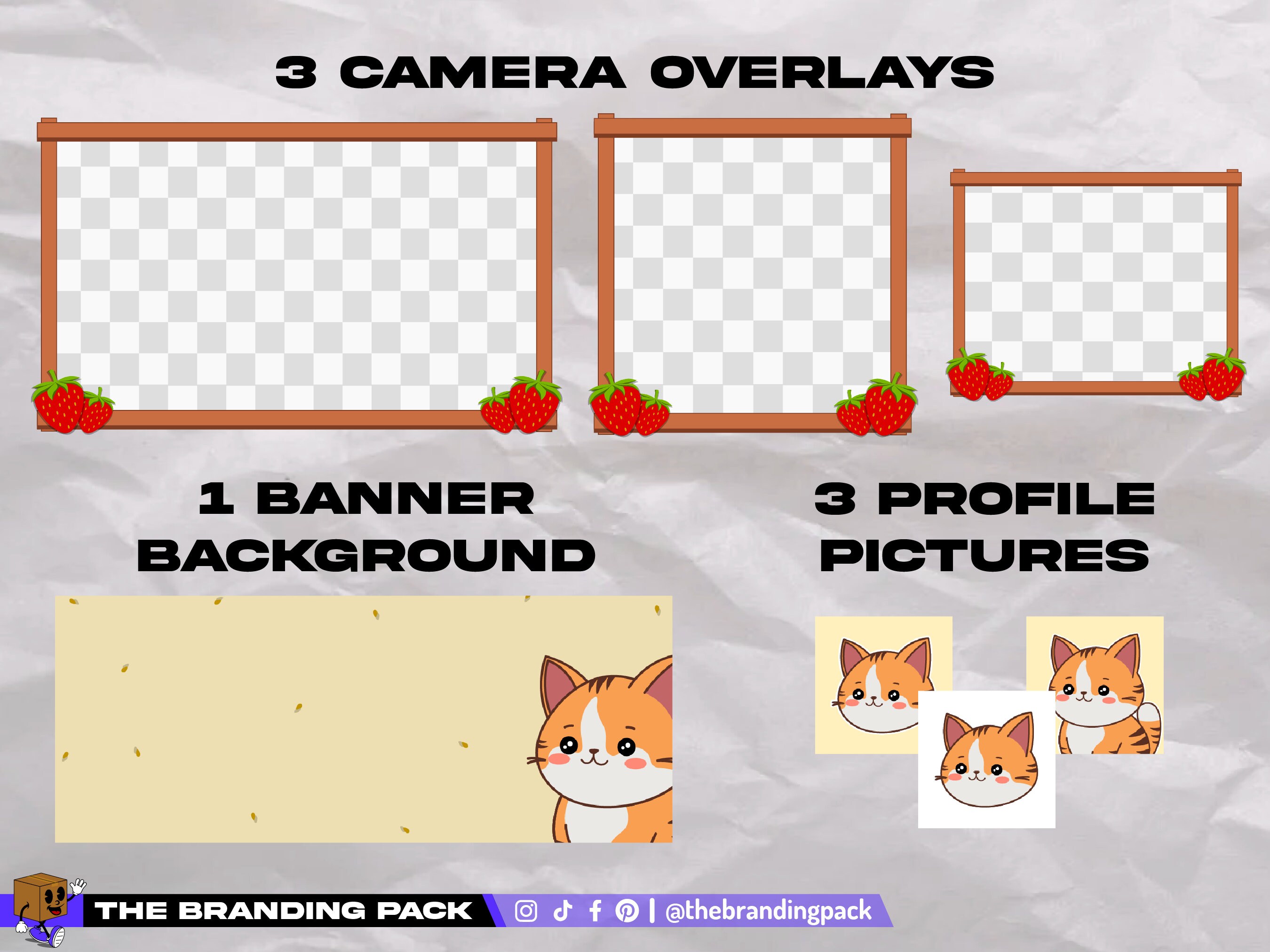 Stream Overlays Pngtuber Pack Orange Cat Pngtuber Camera Overlays ...