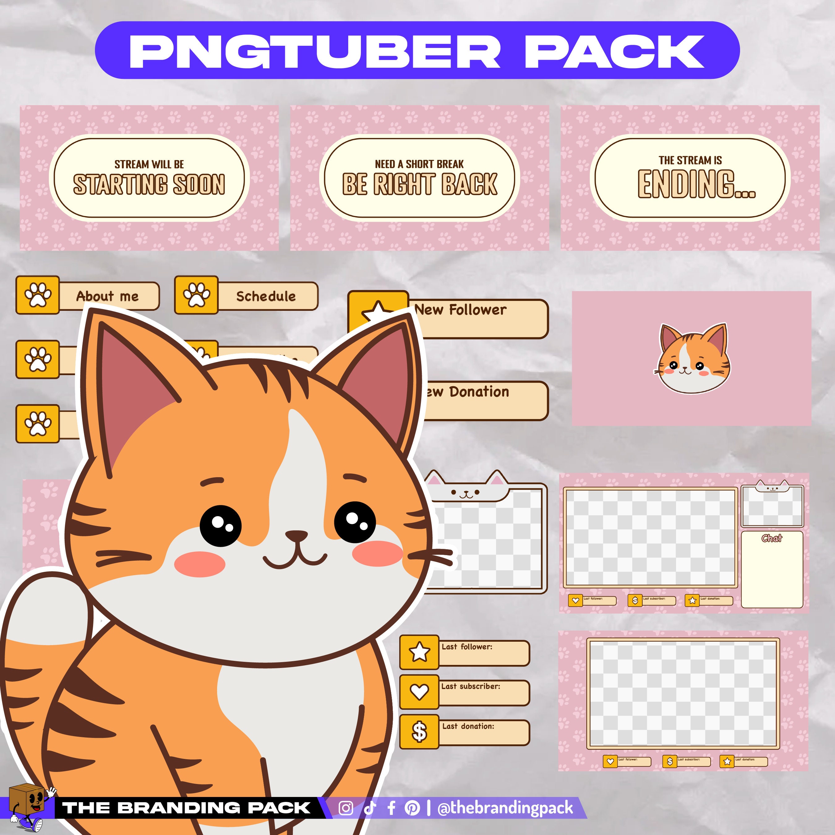 Stream Overlays Pngtuber Pack Orange Cat Pngtuber Camera Overlays ...