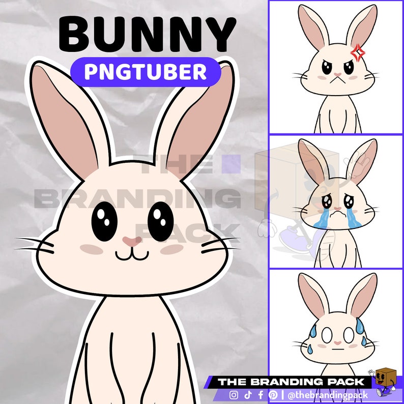 Bunny Pngtuber | Pngtuber Twitch | Pngtuber Premade | Streaming | Ready ...
