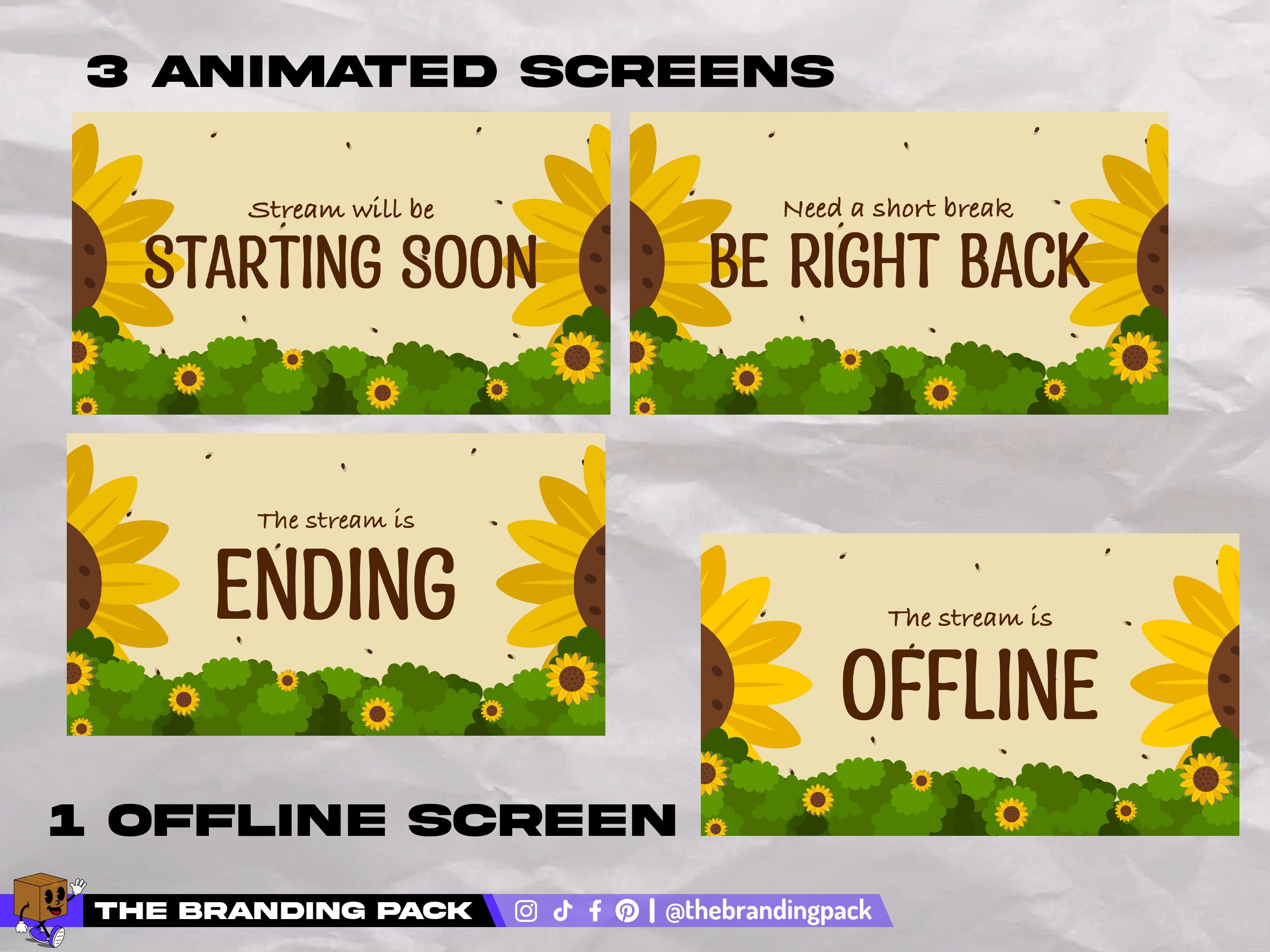 Stream Overlays Pngtuber Pack Grey Cat Pngtuber Camera Overlays Twitch ...