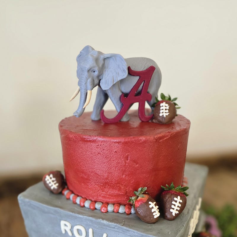 Roll Tide Party Decor - Etsy