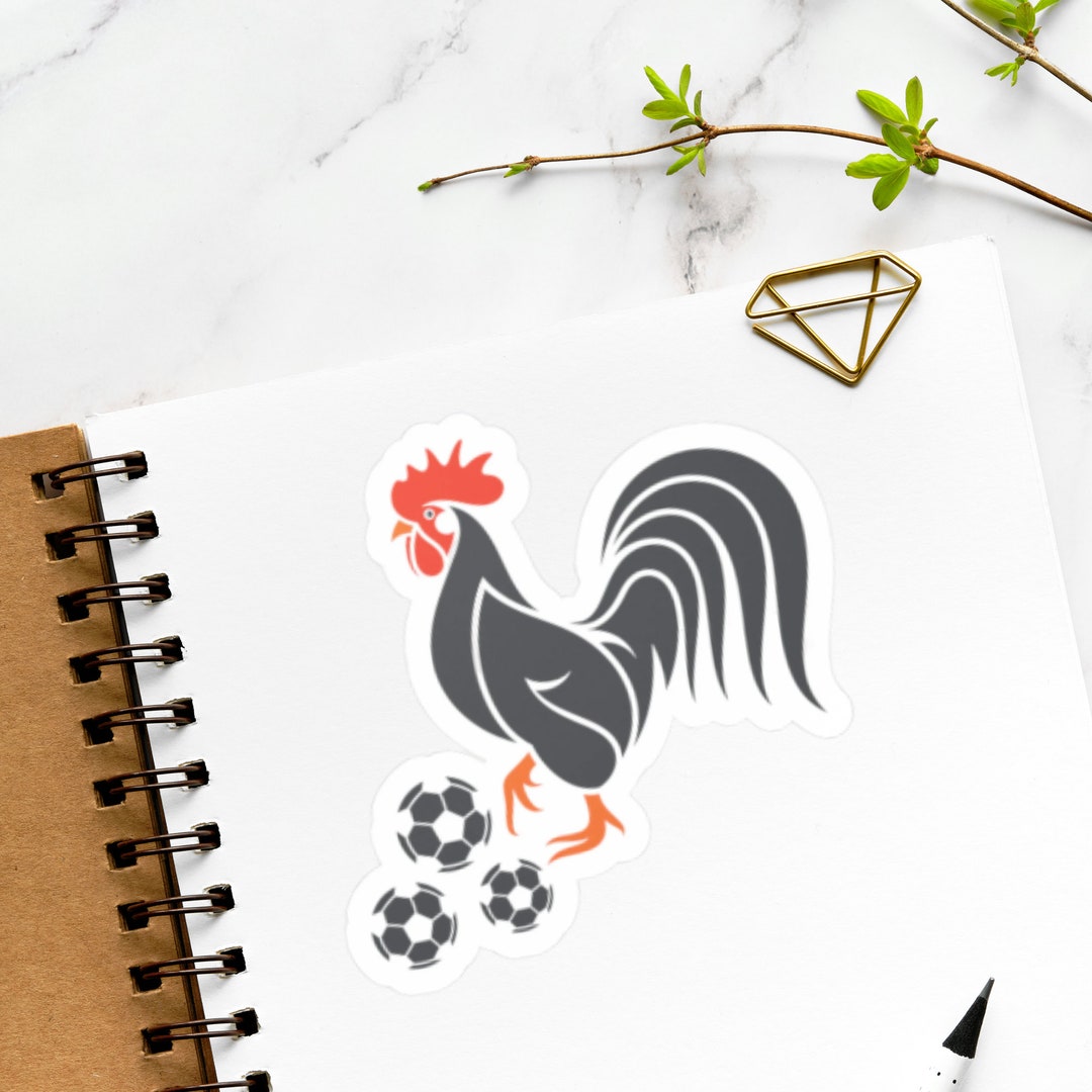 Cck and Balls Vinyl Decals Funny Sticker Inappropriate - Etsy