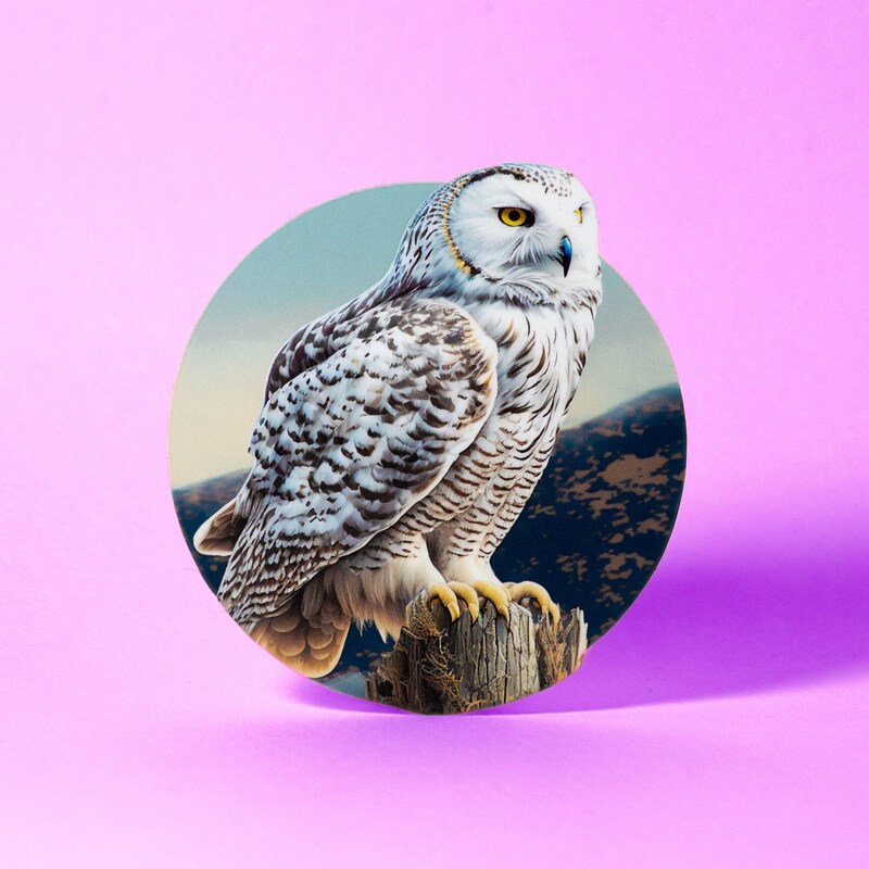 Snowy Owl - Etsy