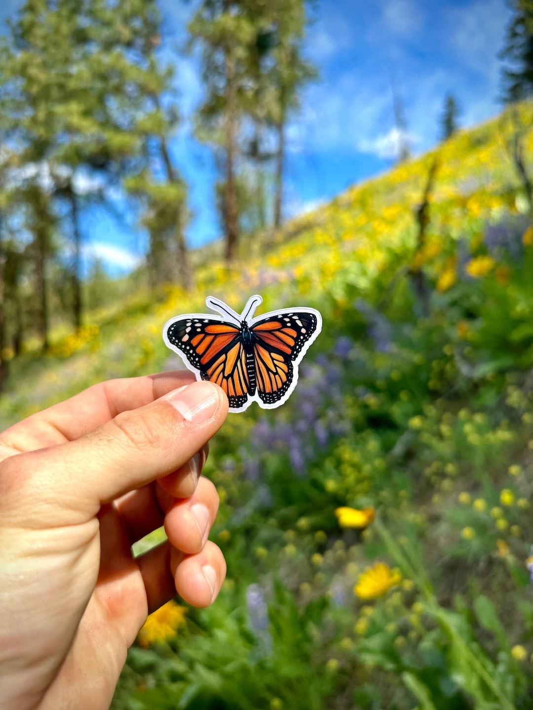 Monarch Butterfly Sticker // Weatherproof Outdoor Sticker // Laminated ...