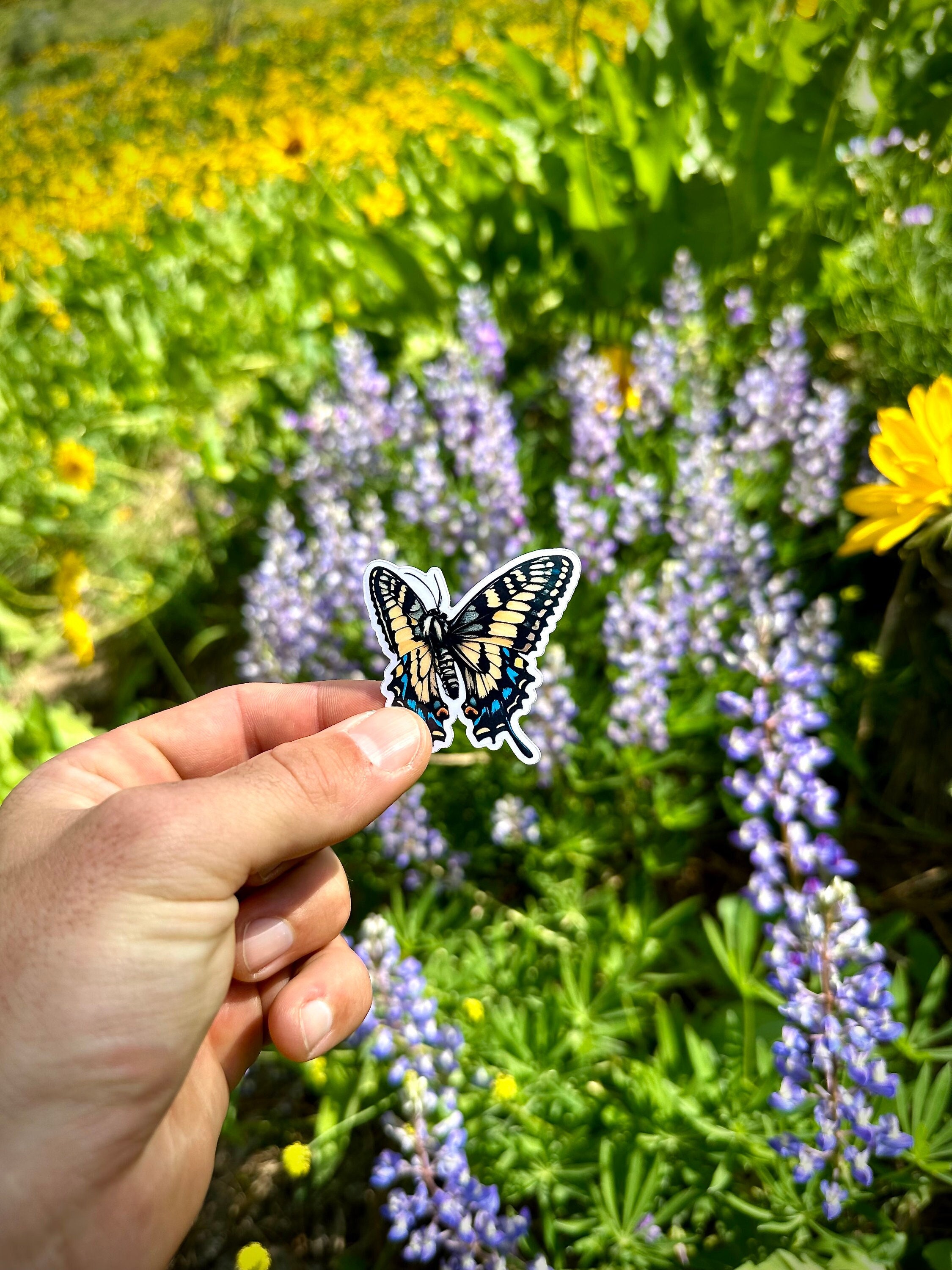 Swallowtail Butterfly // Weatherproof Outdoor Sticker // Laminated ...