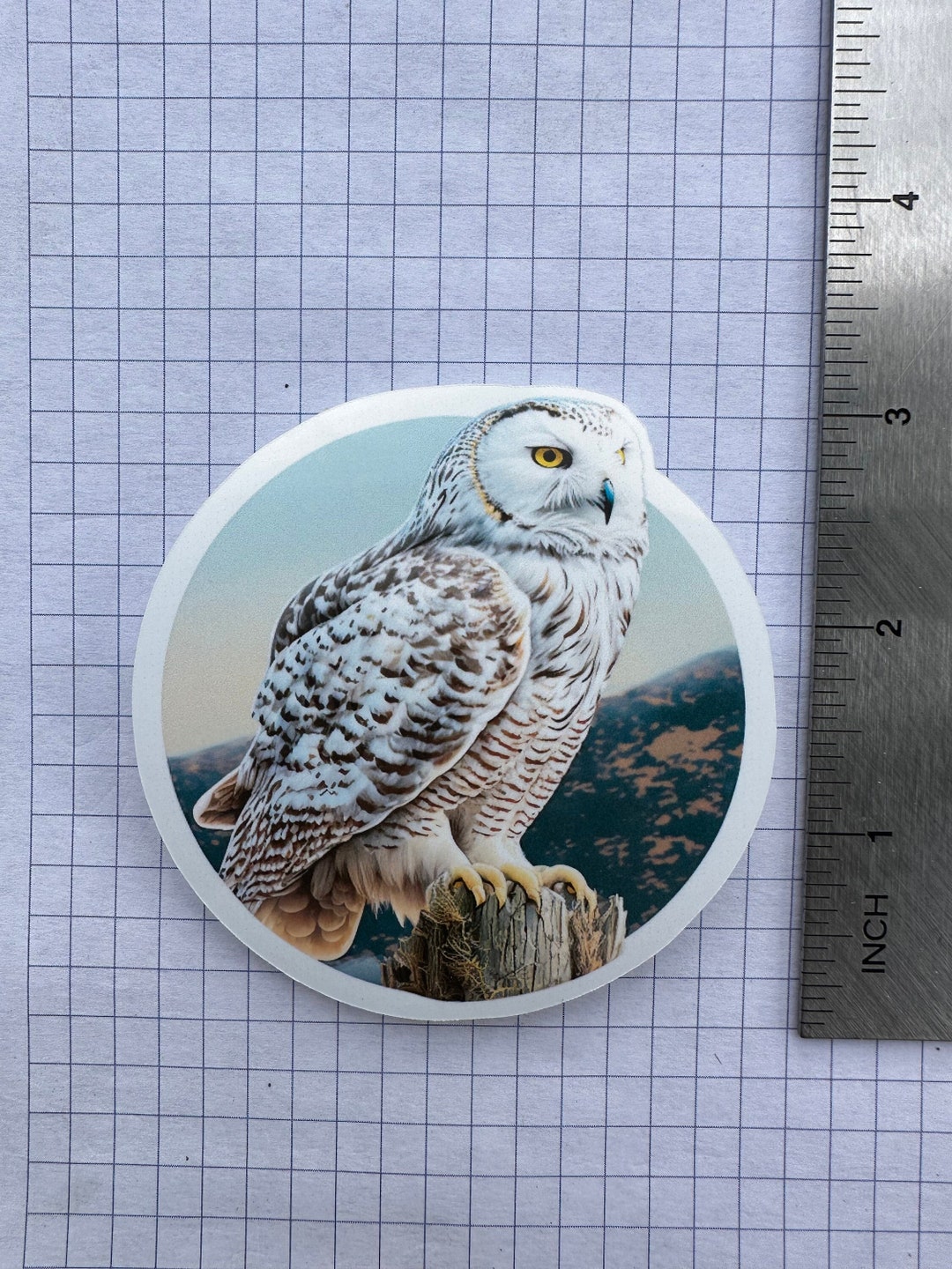SNOWY OWL // Weatherproof Outdoor Sticker // Laminated Vinyl - Etsy