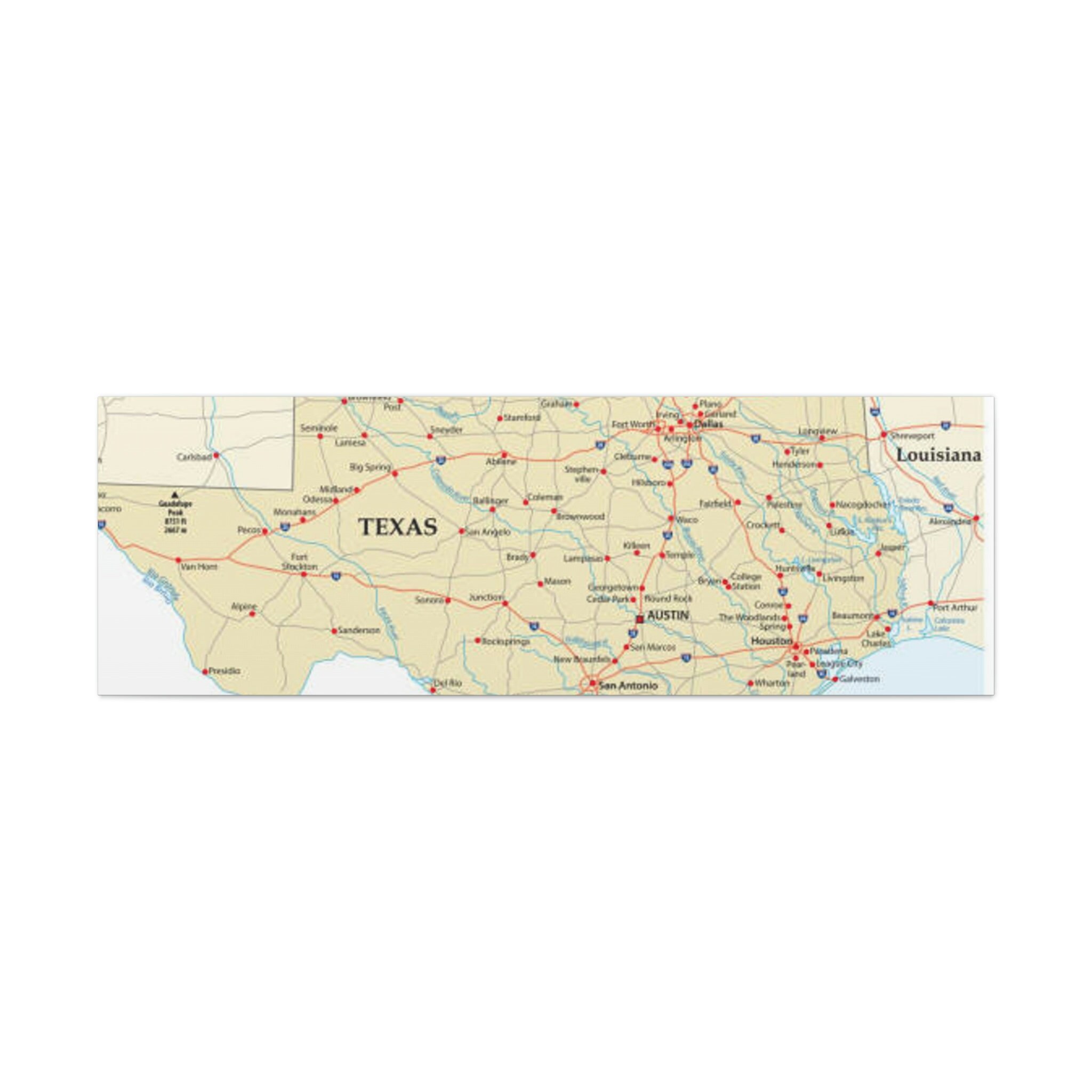 Texas Map Canvas Aesthetic - Etsy