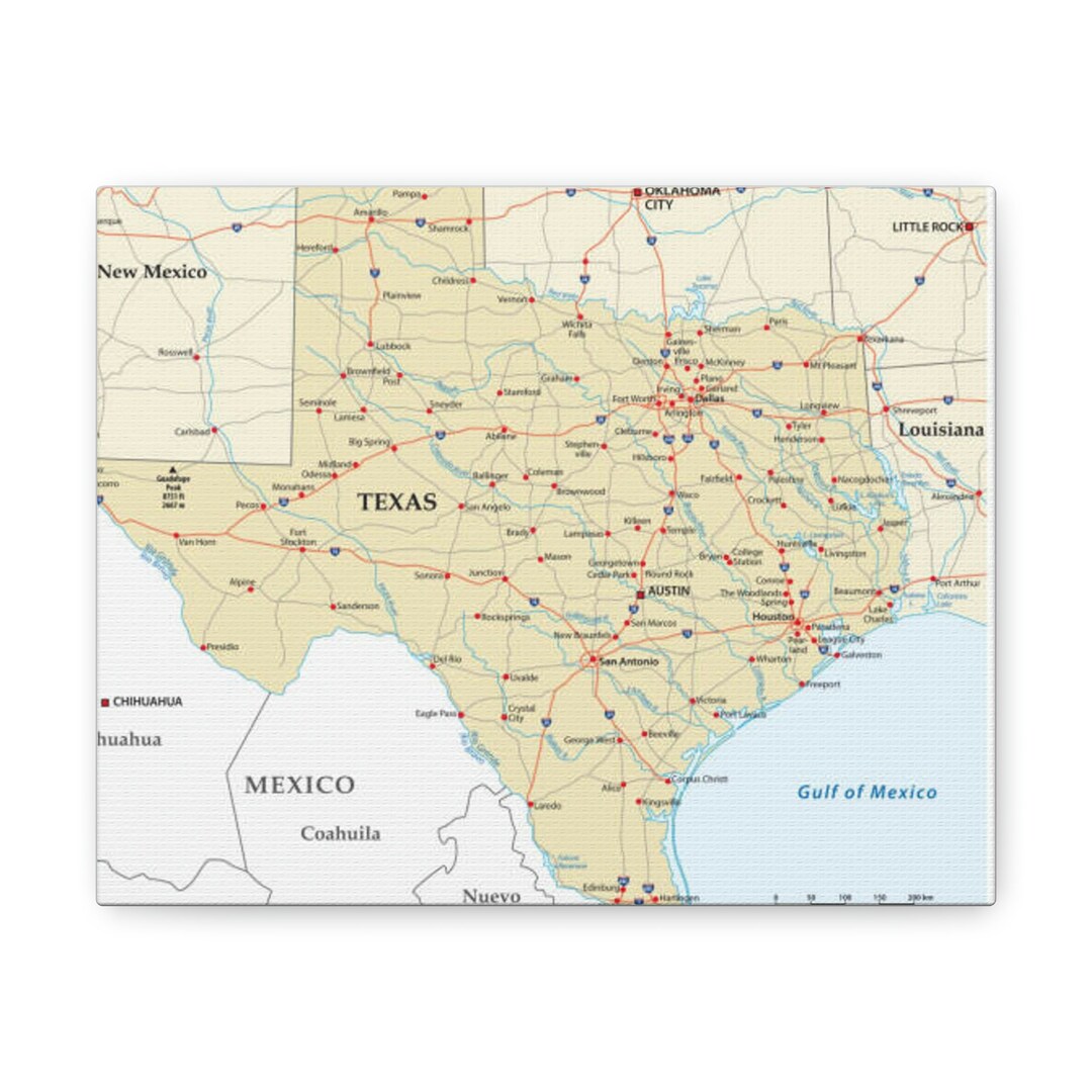Texas Map Canvas Aesthetic - Etsy