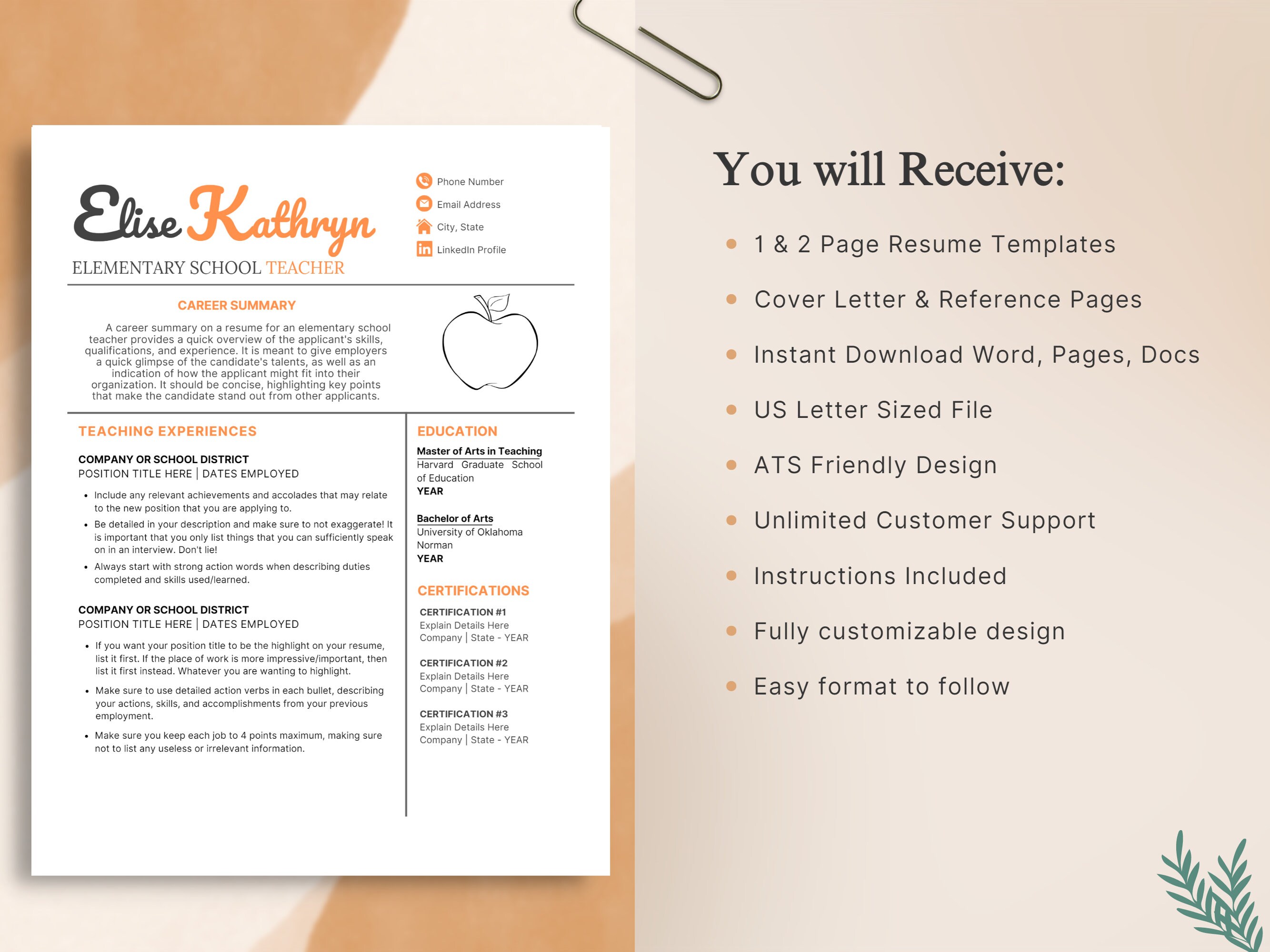 Elementary School Teacher Resume Template, School Teacher CV Template ...