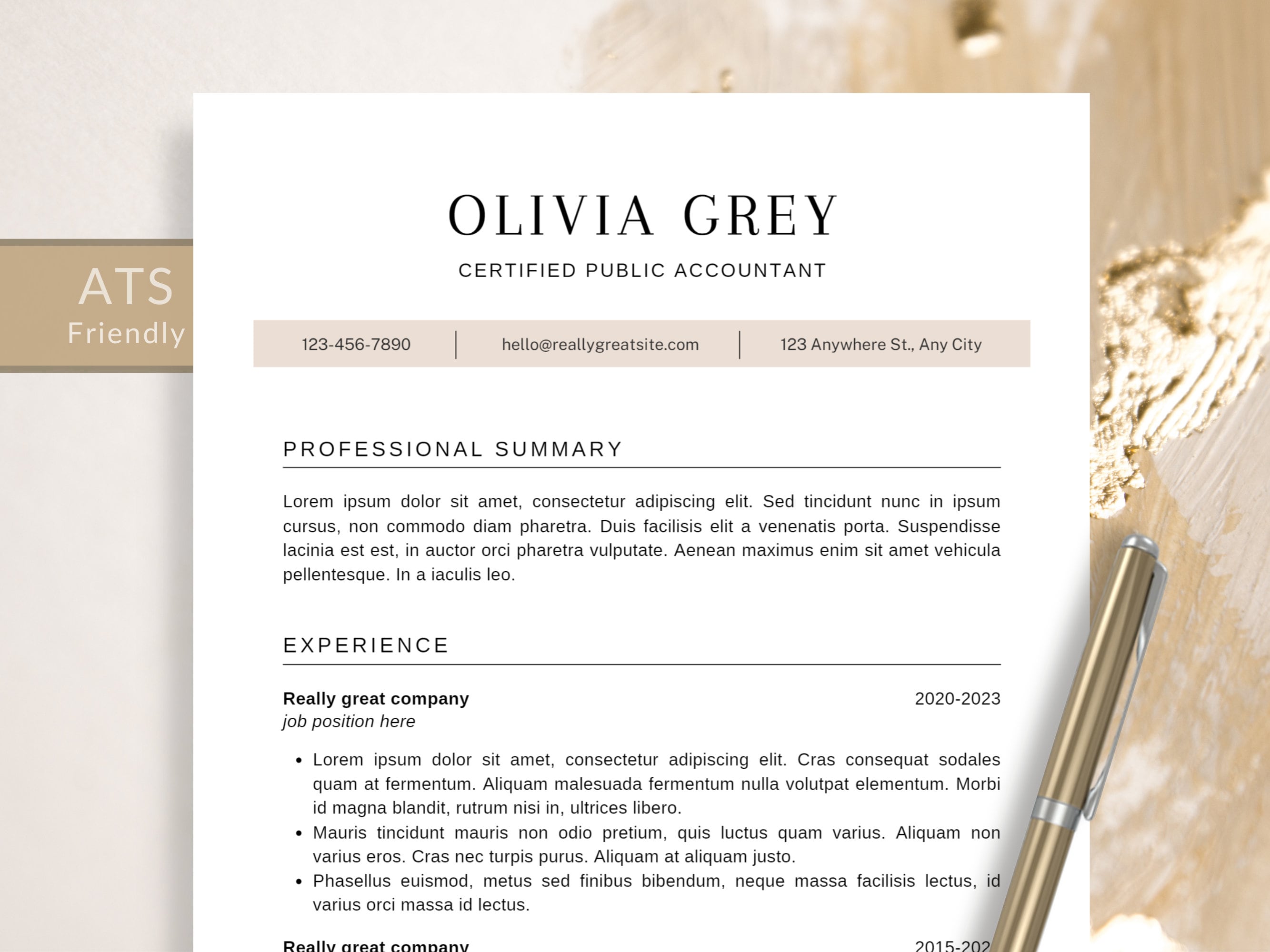Clean, Executive Resume Template 2023, Modern CEO Resume Template for ...