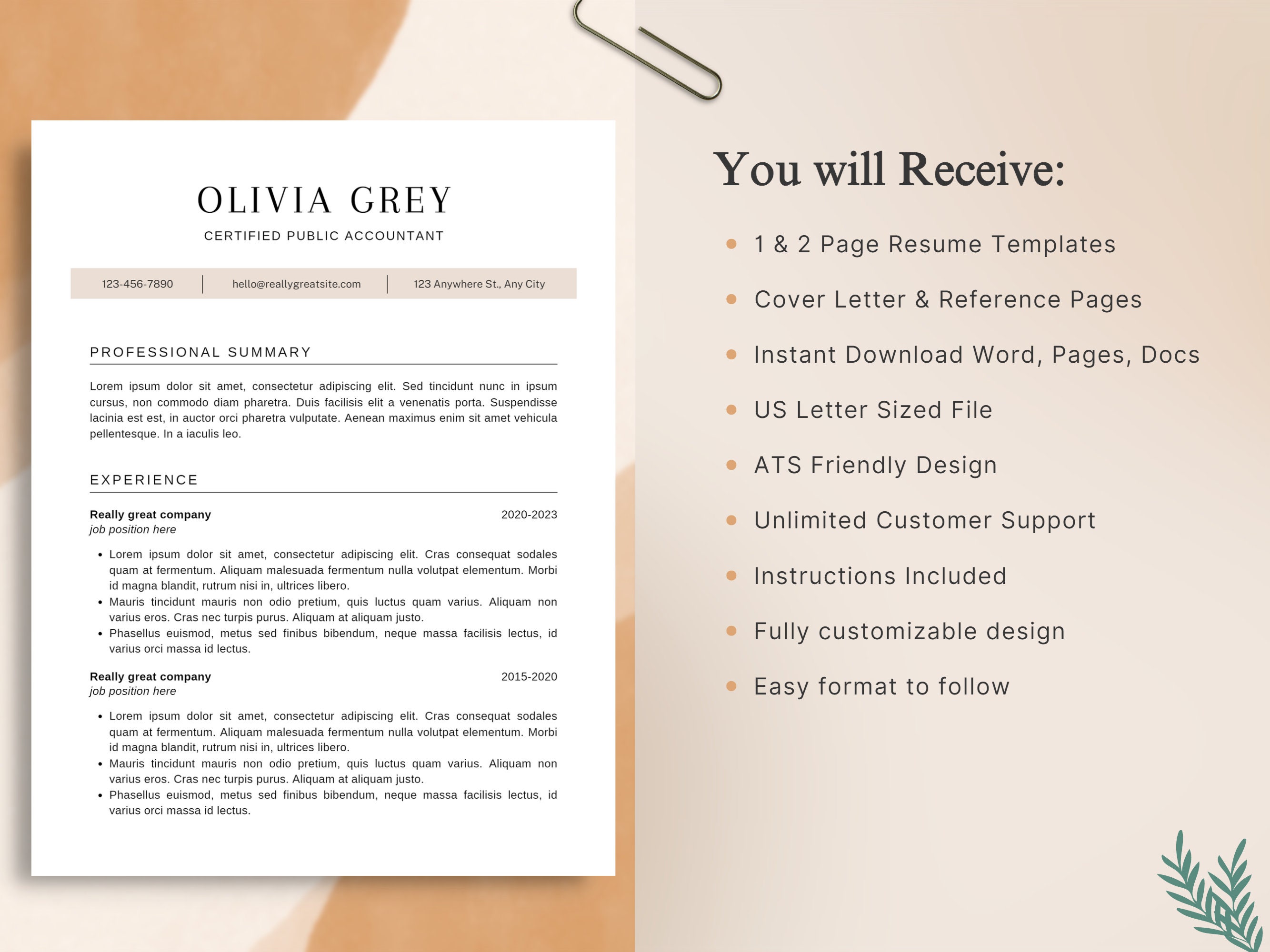Clean, Executive Resume Template 2023, Modern CEO Resume Template for ...