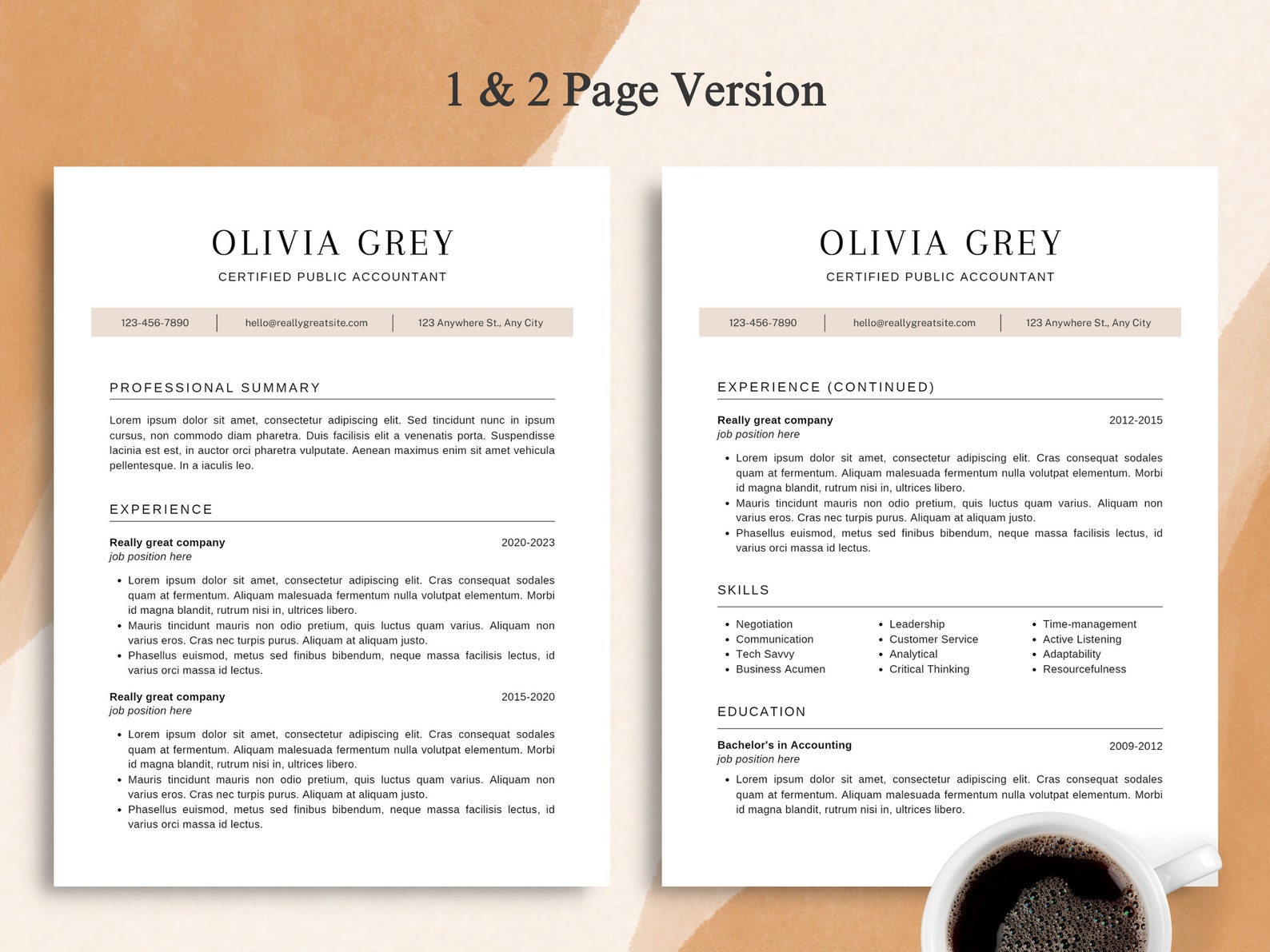 Clean, Executive Resume Template 2023, Modern CEO Resume Template for Word and Apple Pages ...