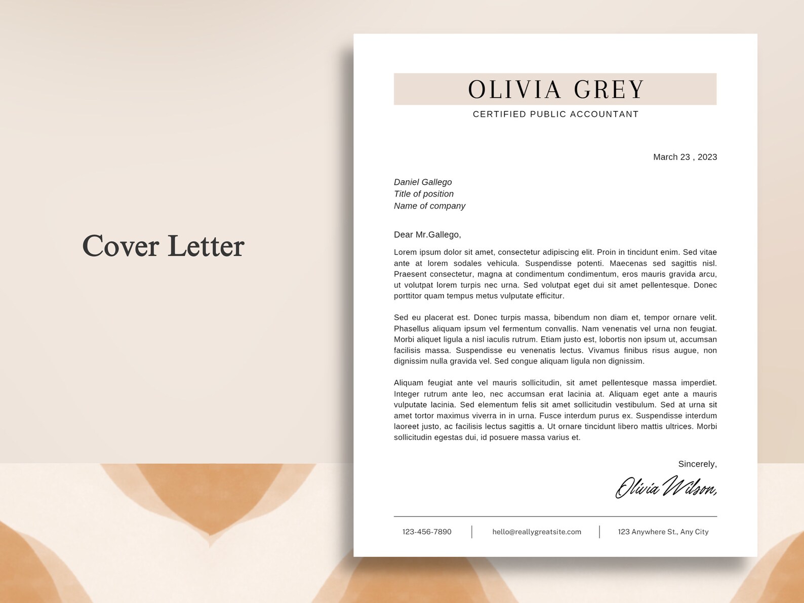 Clean, Executive Resume Template 2023, Modern CEO Resume Template for Word and Apple Pages ...