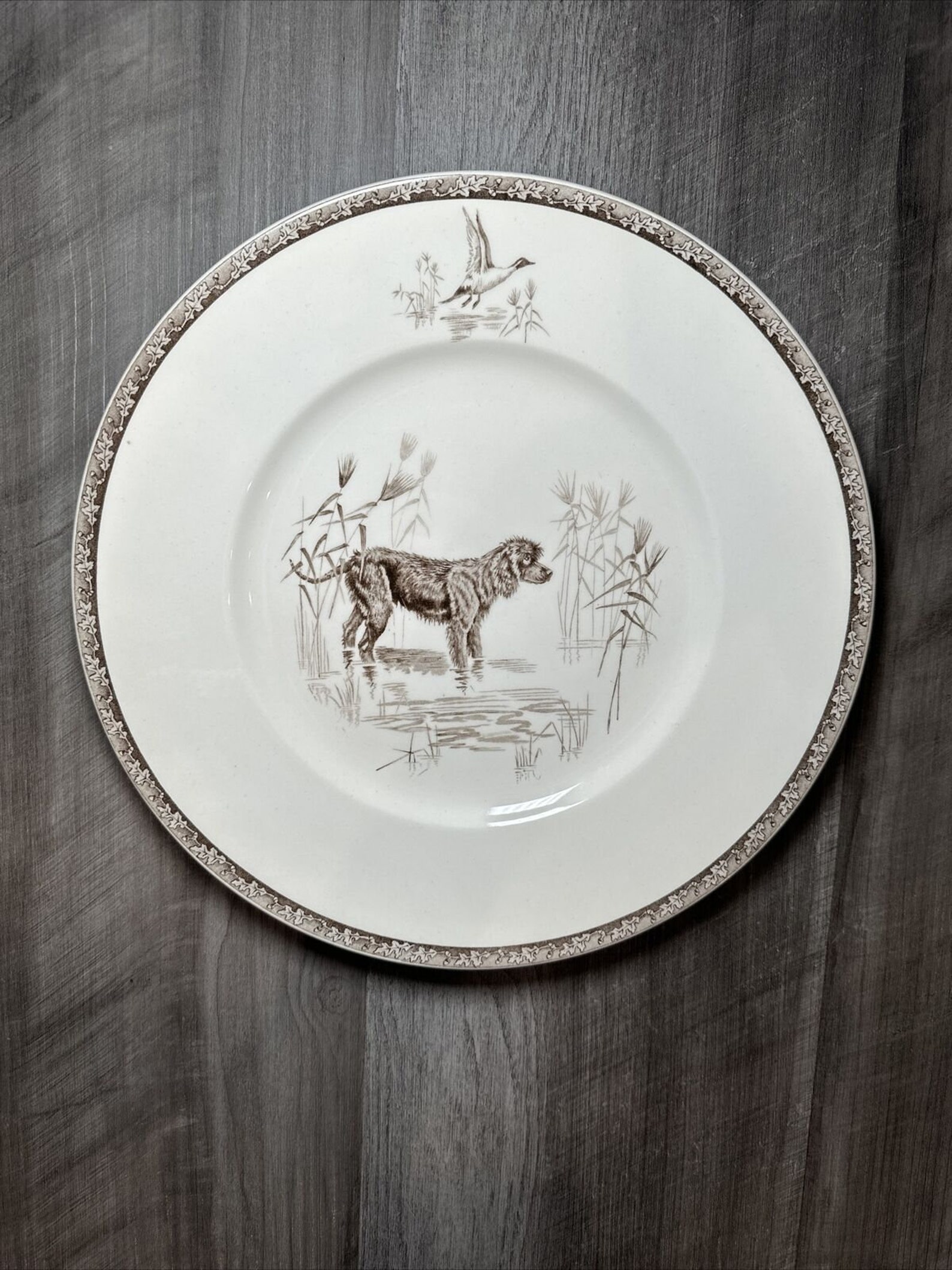 The American Sporting Dog Plates Wedgwood by Marguerite Kirmse (set of ...