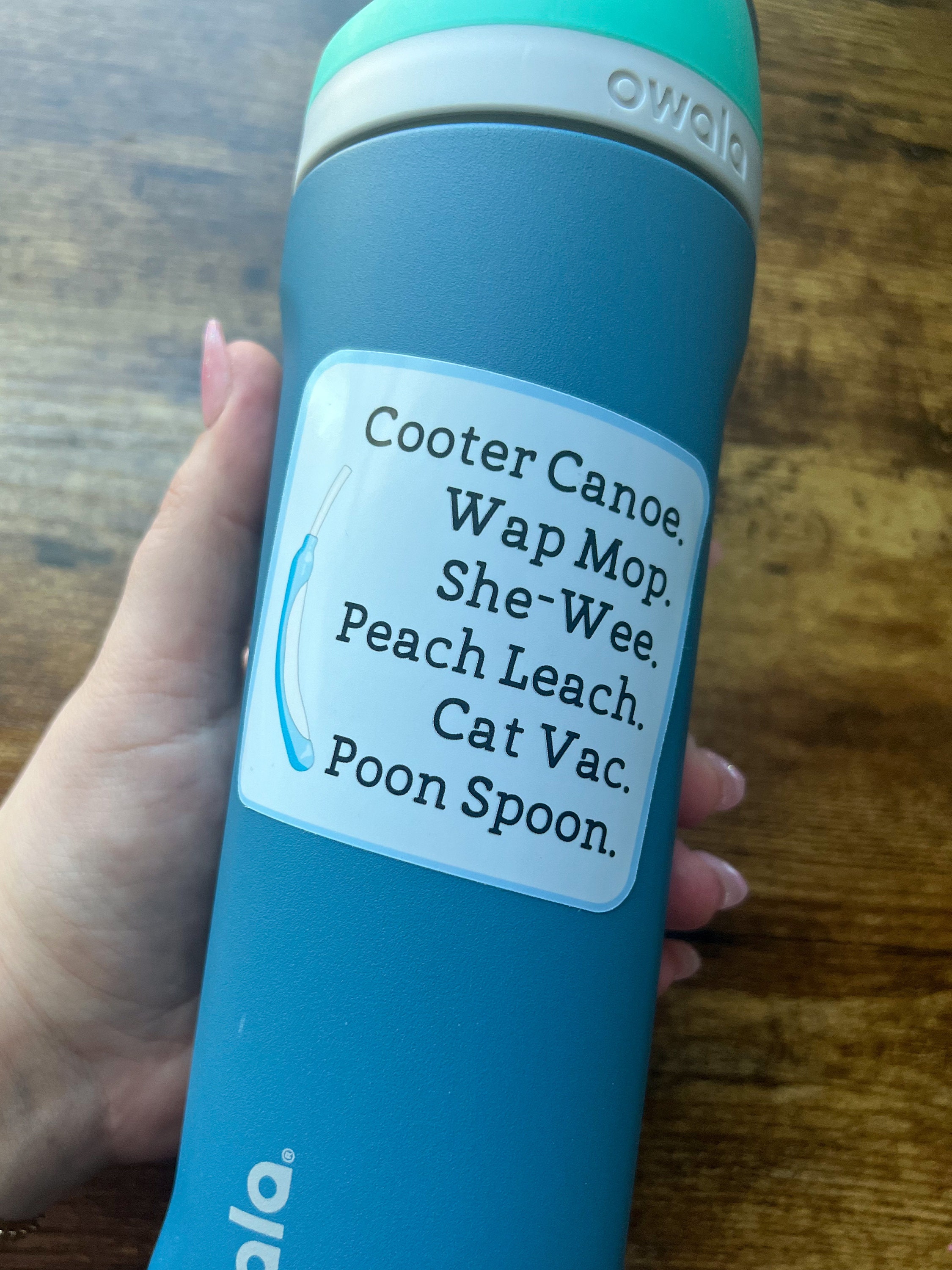 Cooter Canoe, Wap Mop, She-wee Nurse Waterproof Sticker - Etsy