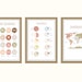 Set of 26 Educational Posters, Montessori Classroom Decor, Homeschool ...
