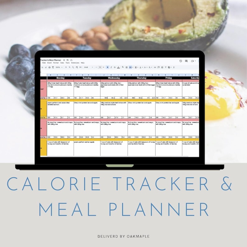 Calorie Tracker and Meal Planner - Etsy