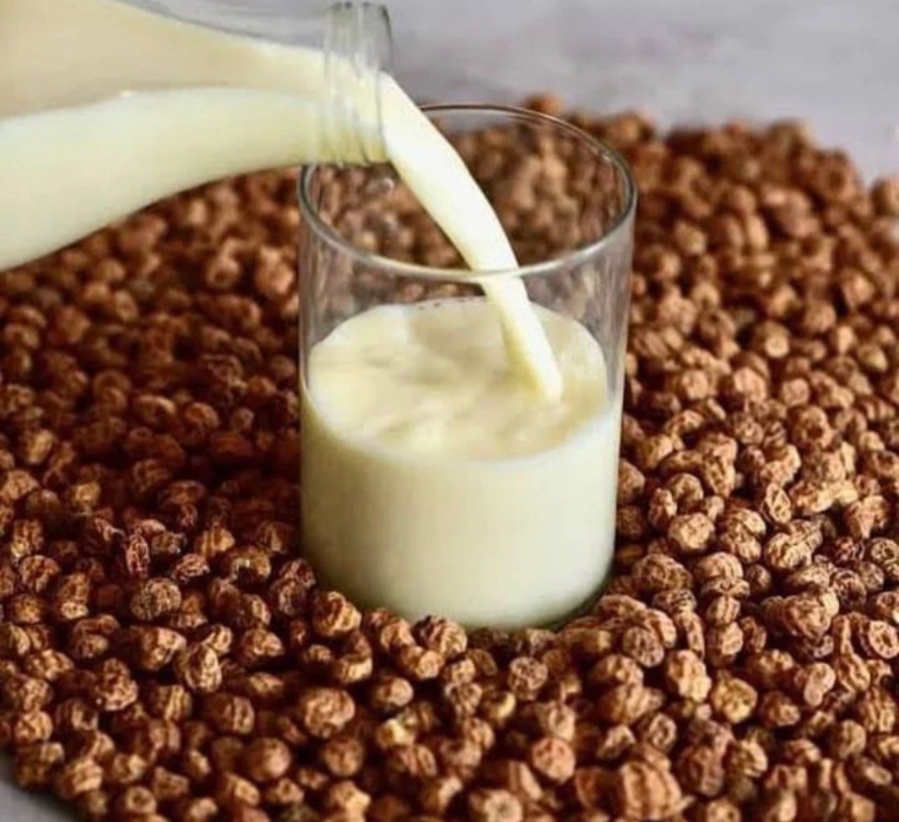 Dried Tigernut, Very Nutritious and Satisfying - Etsy