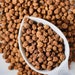 Dried Tigernut, Very Nutritious and Satisfying - Etsy