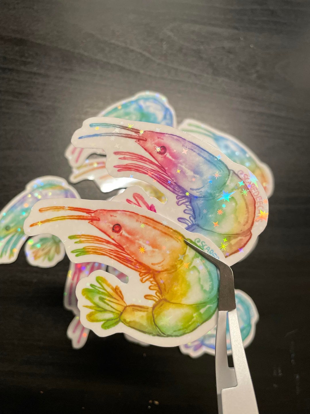 Rainbow Support Shrimp Vinyl Sticker, Water-resistant. - Etsy