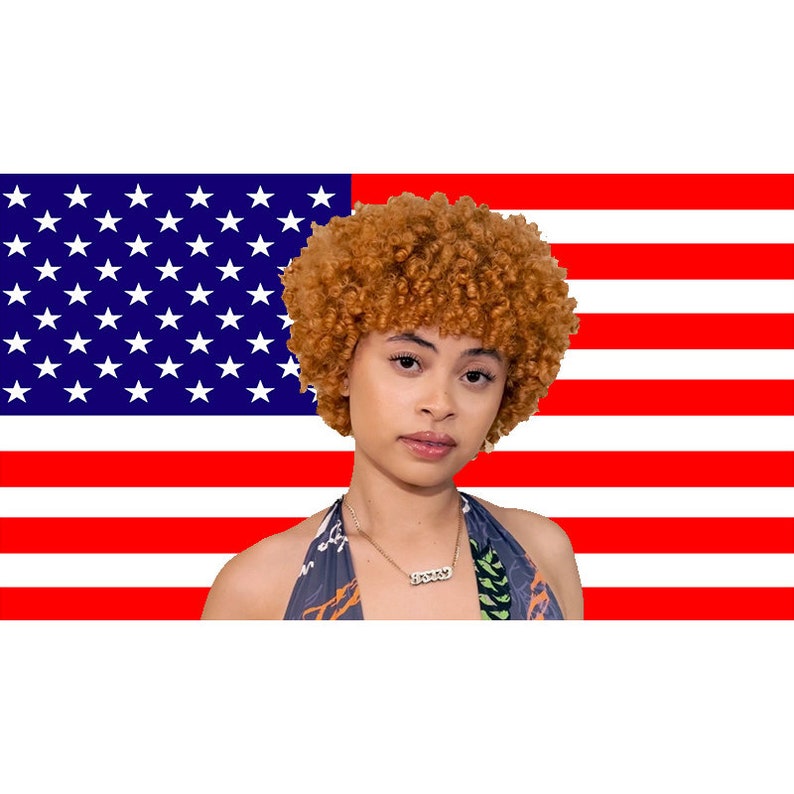 Ice Spice Flag Munch Flag Ice Spice Tapestry Pink American - Etsy