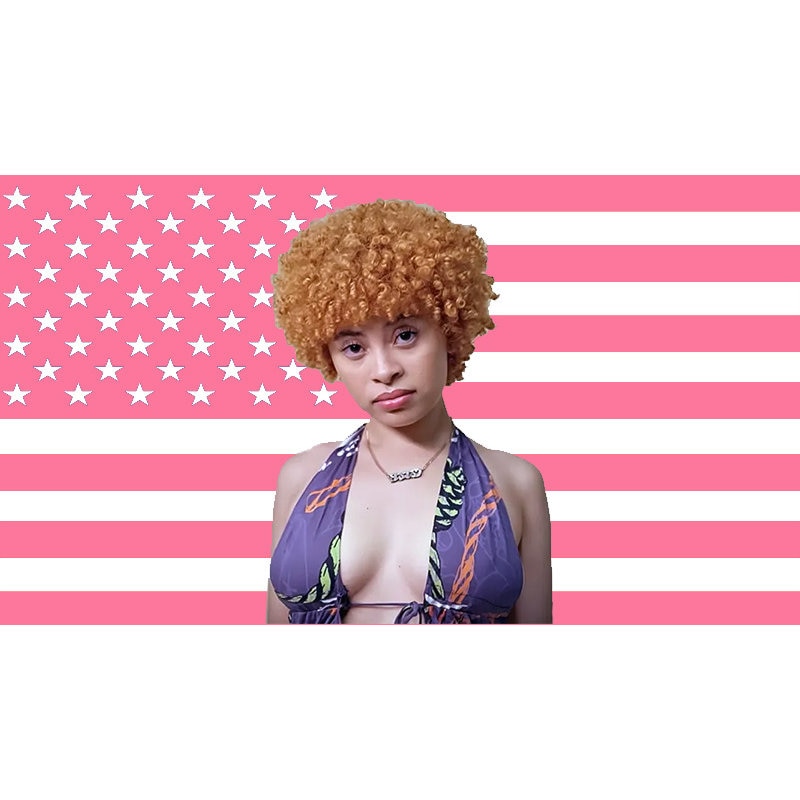 Ice Spice Flag, Munch Flag, Ice Spice Tapestry Pink American sold by AdhiShetty | SKU 40877087 ...