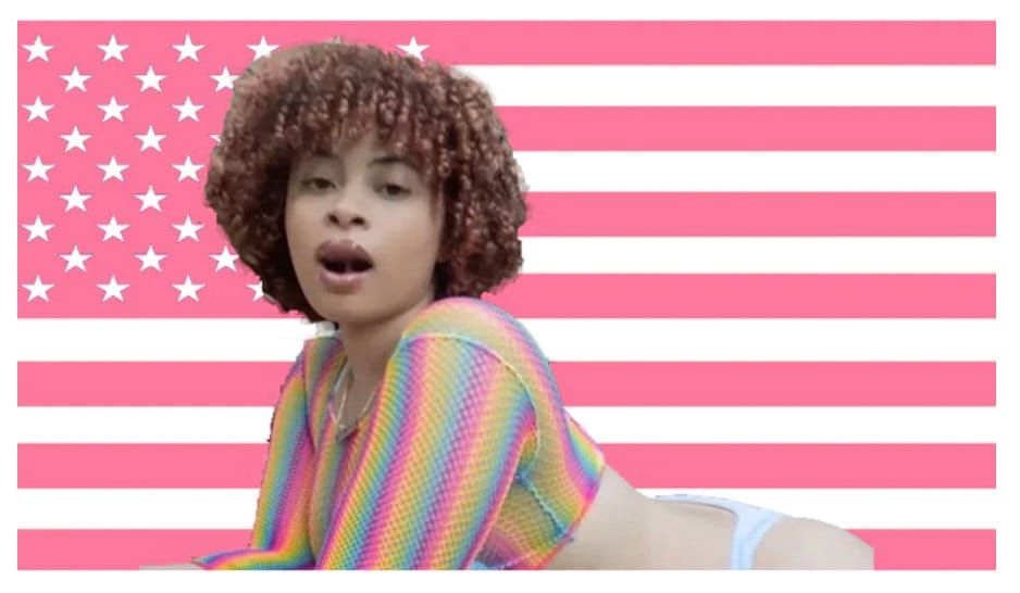 Ice Spice Flag, Munch Flag, Ice Spice Tapestry Pink American sold by AdhiShetty | SKU 40877087 ...