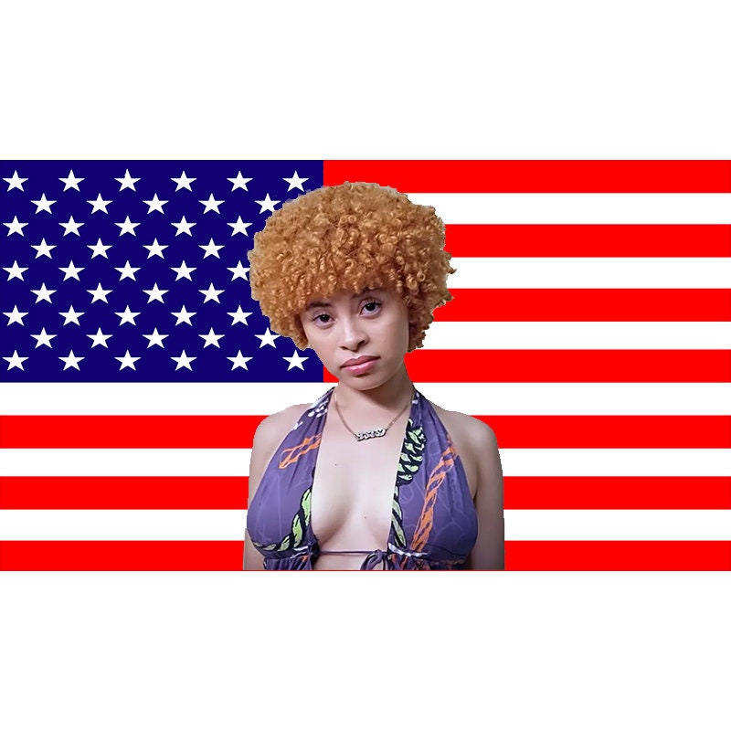 Ice Spice Flag, Munch Flag, Ice Spice Tapestry Pink American sold by AdhiShetty | SKU 40877087 ...