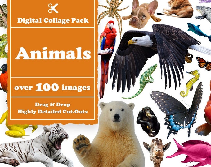90 Stück Tier Collagen Kit, Tier Printables, Digitaldrucke, Tier ...