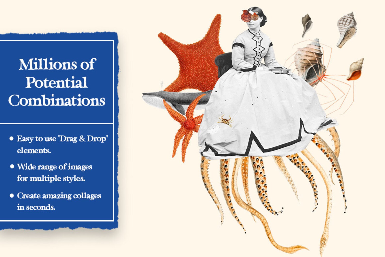 Vintage Sea Creatures Collage Creator 100+ Images || Vintage Sea ...