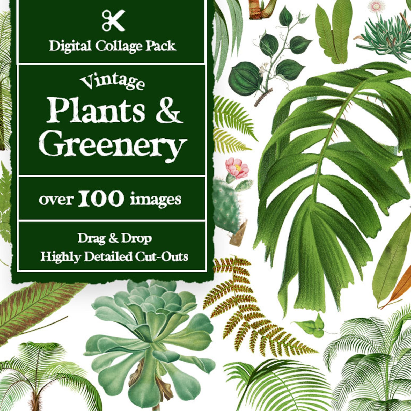 Vintage Plants Collage Creator 100+ Images || Vintage Plants Digital ...